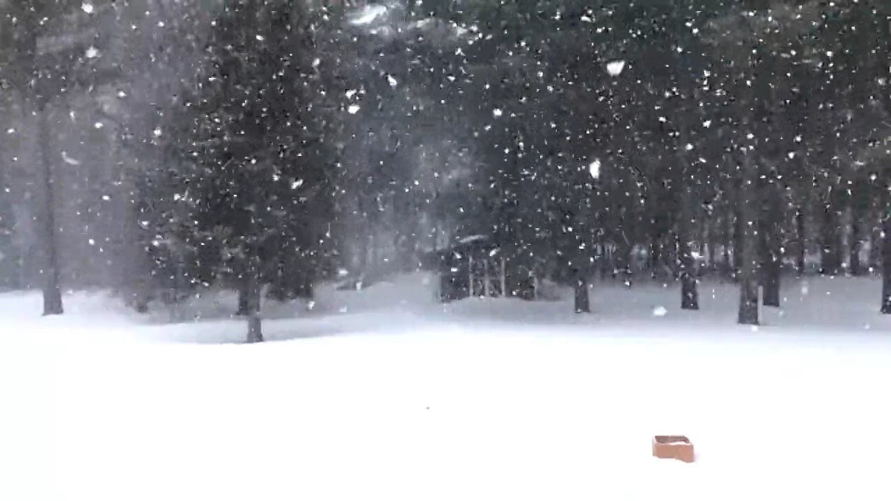 Heavy Snowfall Covering The Flat Surfaces On The Ground · Free Stock Video