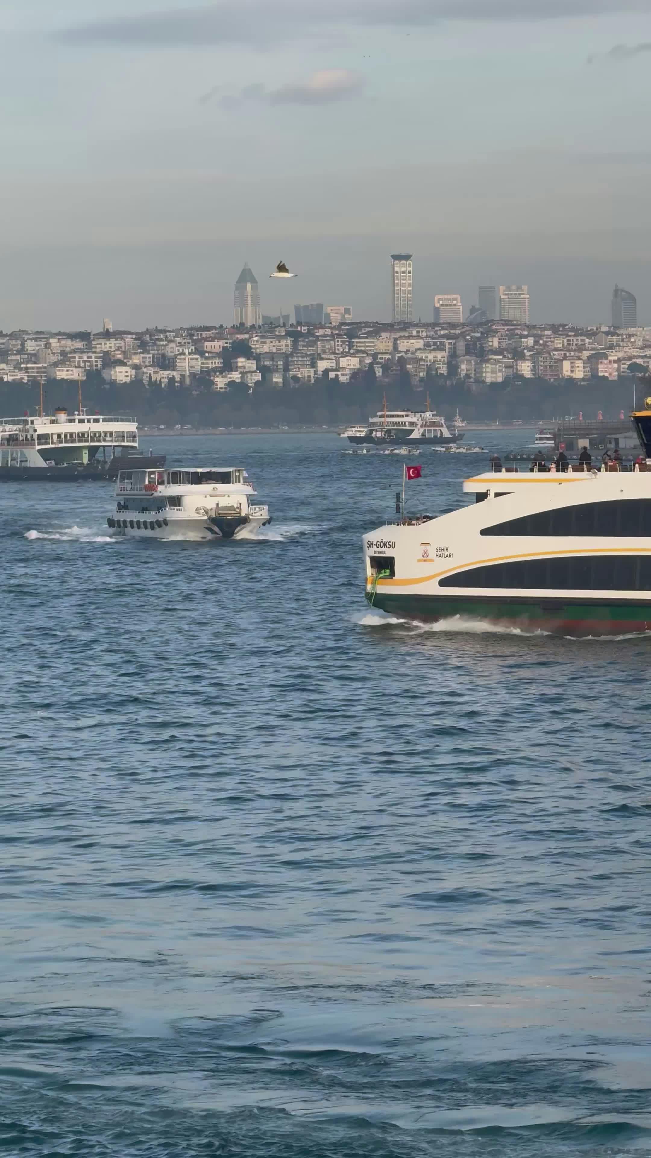 Ships At Night Videos, Download The BEST Free 4k Stock Video Footage ...