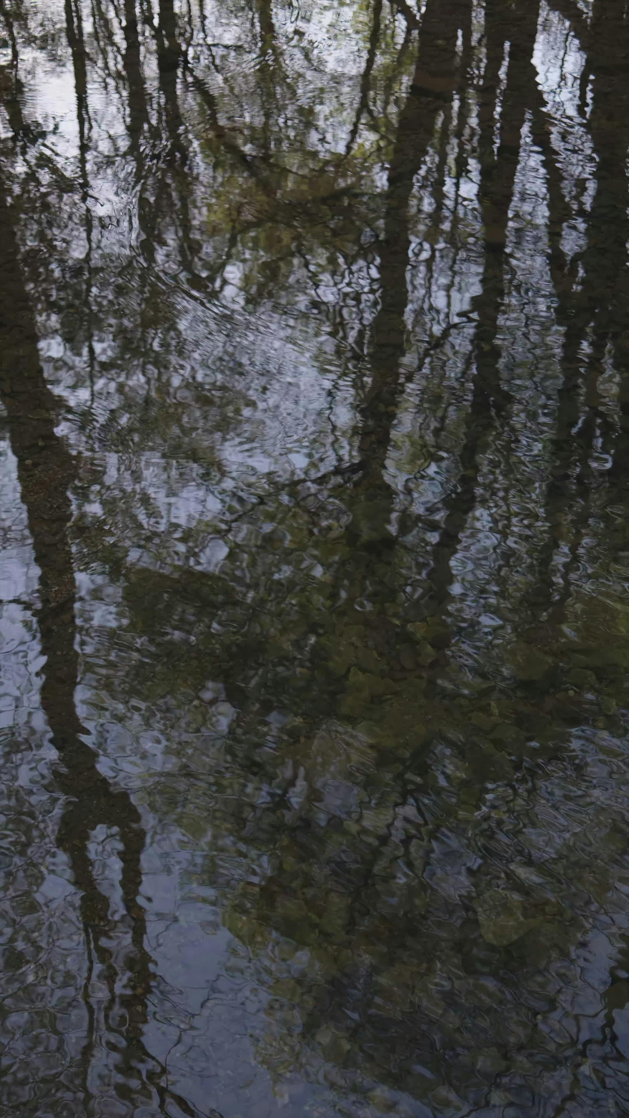 Formato Simple Videos, Download The BEST Free 4k Stock Video Footage ...