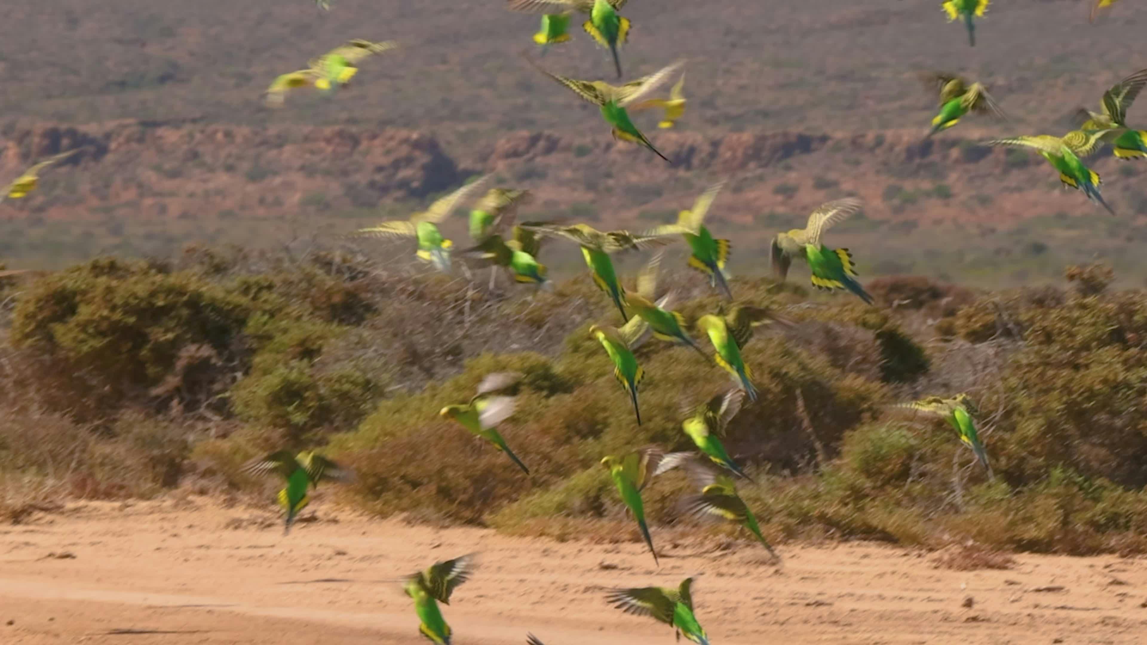 Migration To Australia Videos, Download The BEST Free 4k Stock Video ...