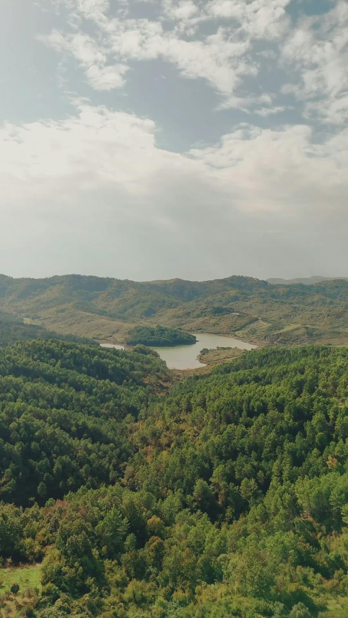 Full+Sax+Video+India Videos, Download The BEST Free 4k Stock Video ...