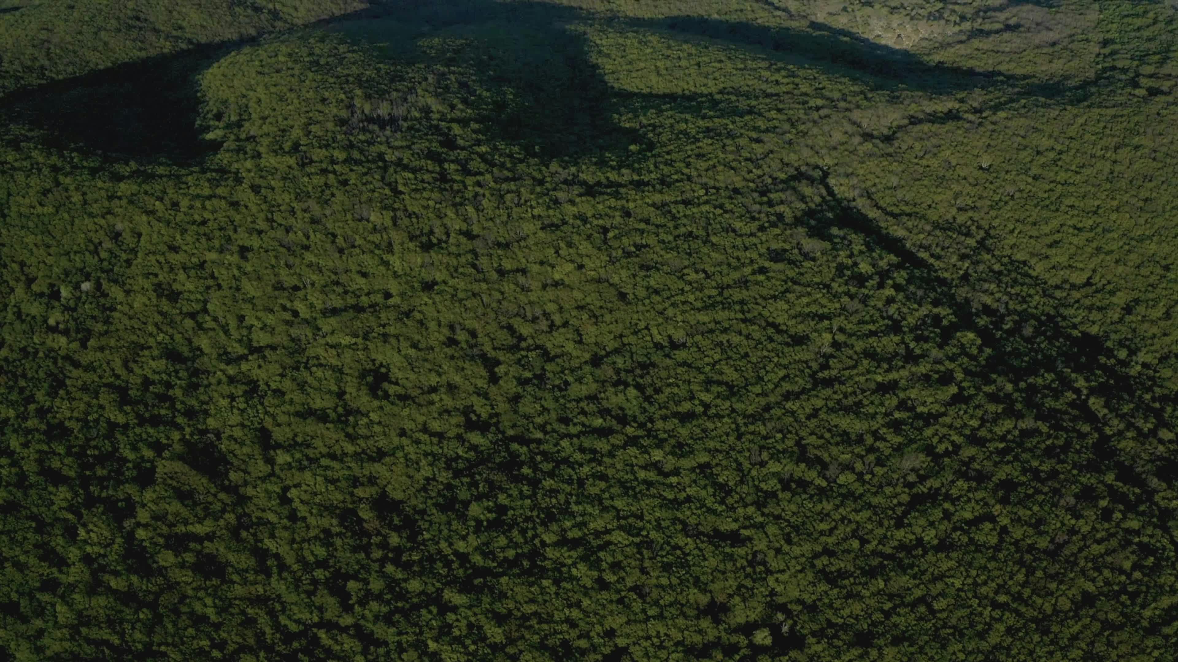 African+Girl+Poop Videos, Download The BEST Free 4k Stock Video Footage ...