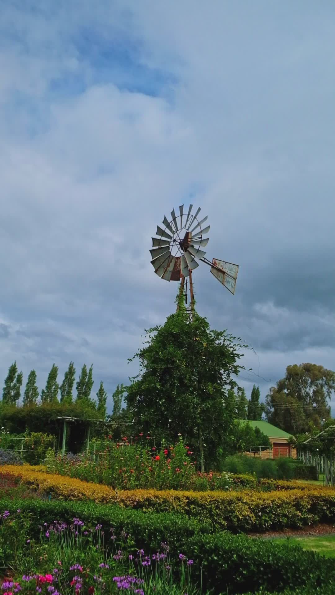 Scenic Windmill in Lush Garden During Daytime Free Stock Video Footage ...