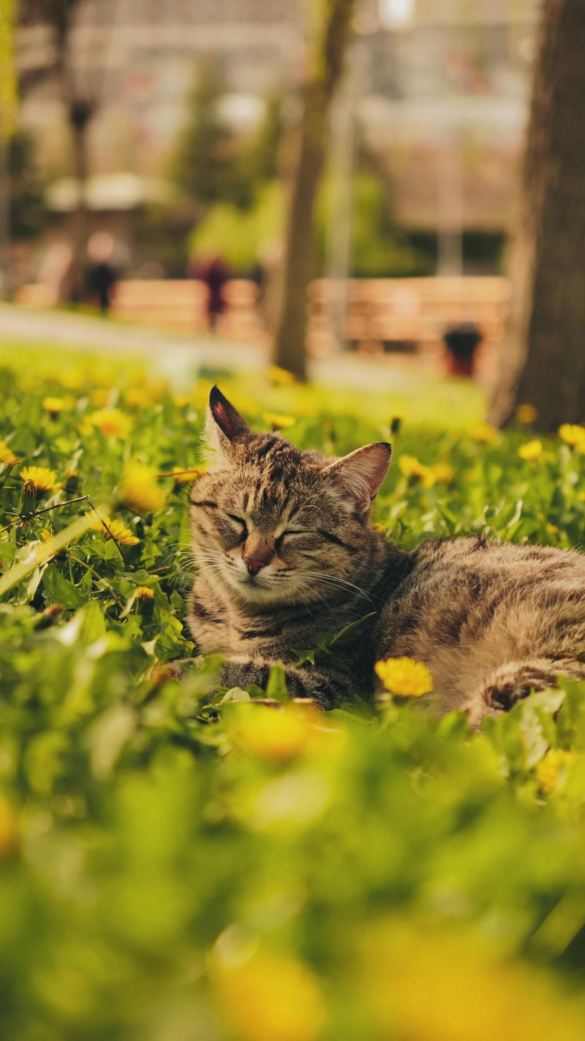 Video+Za+Kutombana+Wazungu Videos, Download The BEST Free 4k Stock ...