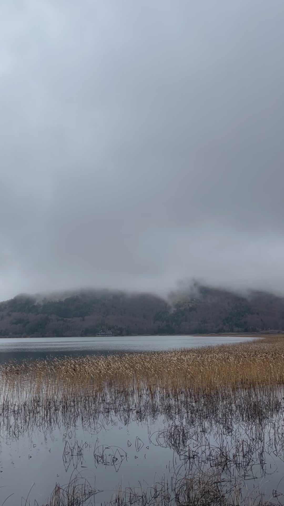 Haze Weather Videos, Download The BEST Free 4k Stock Video Footage ...