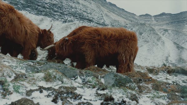 Full+Phonography+Movies+In+Action Videos, Download The BEST Free 4k ...