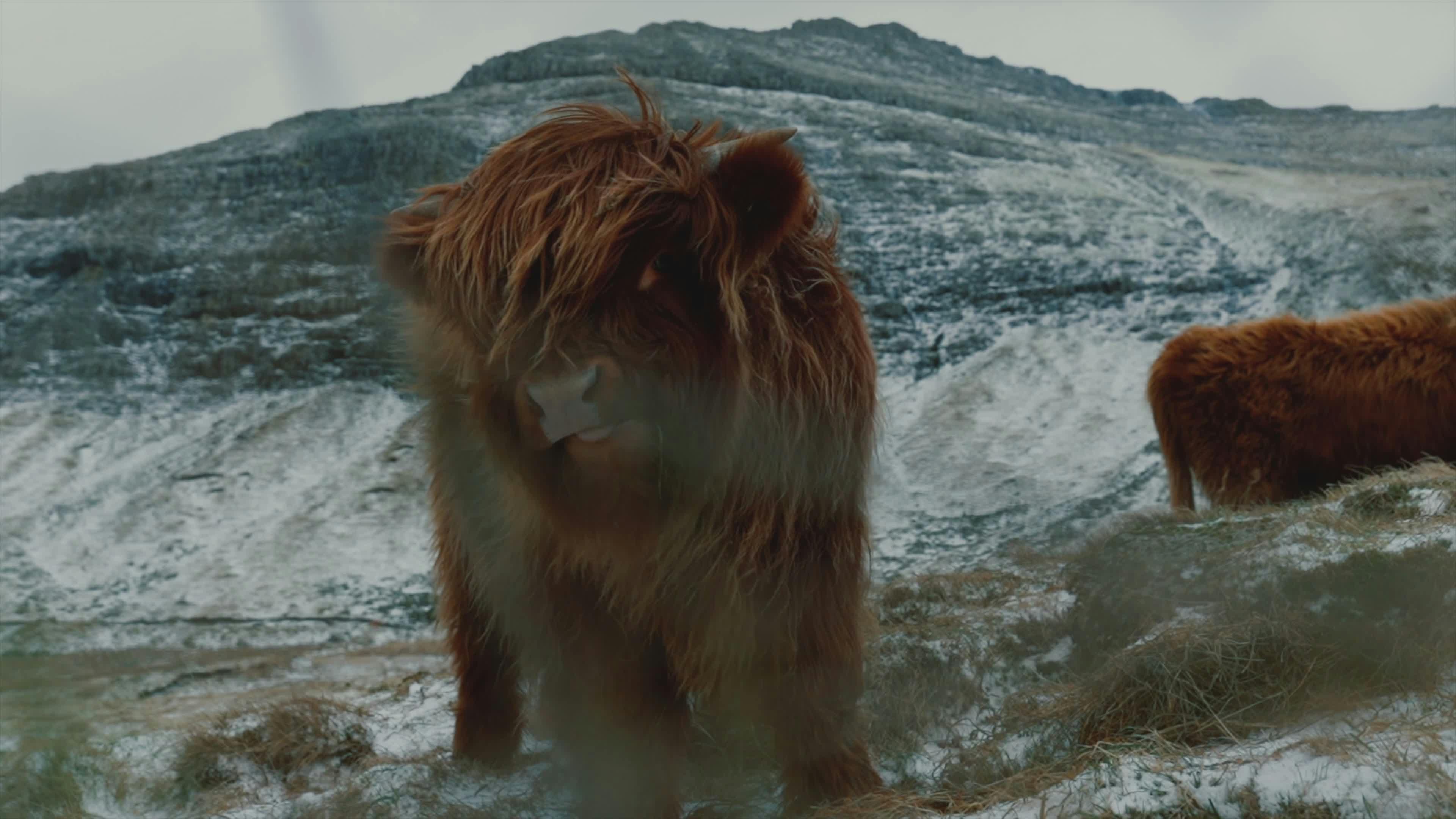 Guys+Changing+In+Locker+Room Videos, Download The BEST Free 4k Stock ...