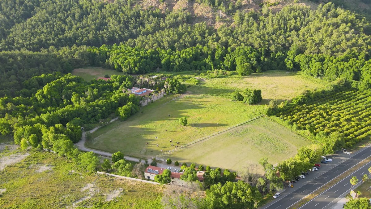 Mila Ss+Video Videos, Download The BEST Free 4k Stock Video Footage ...