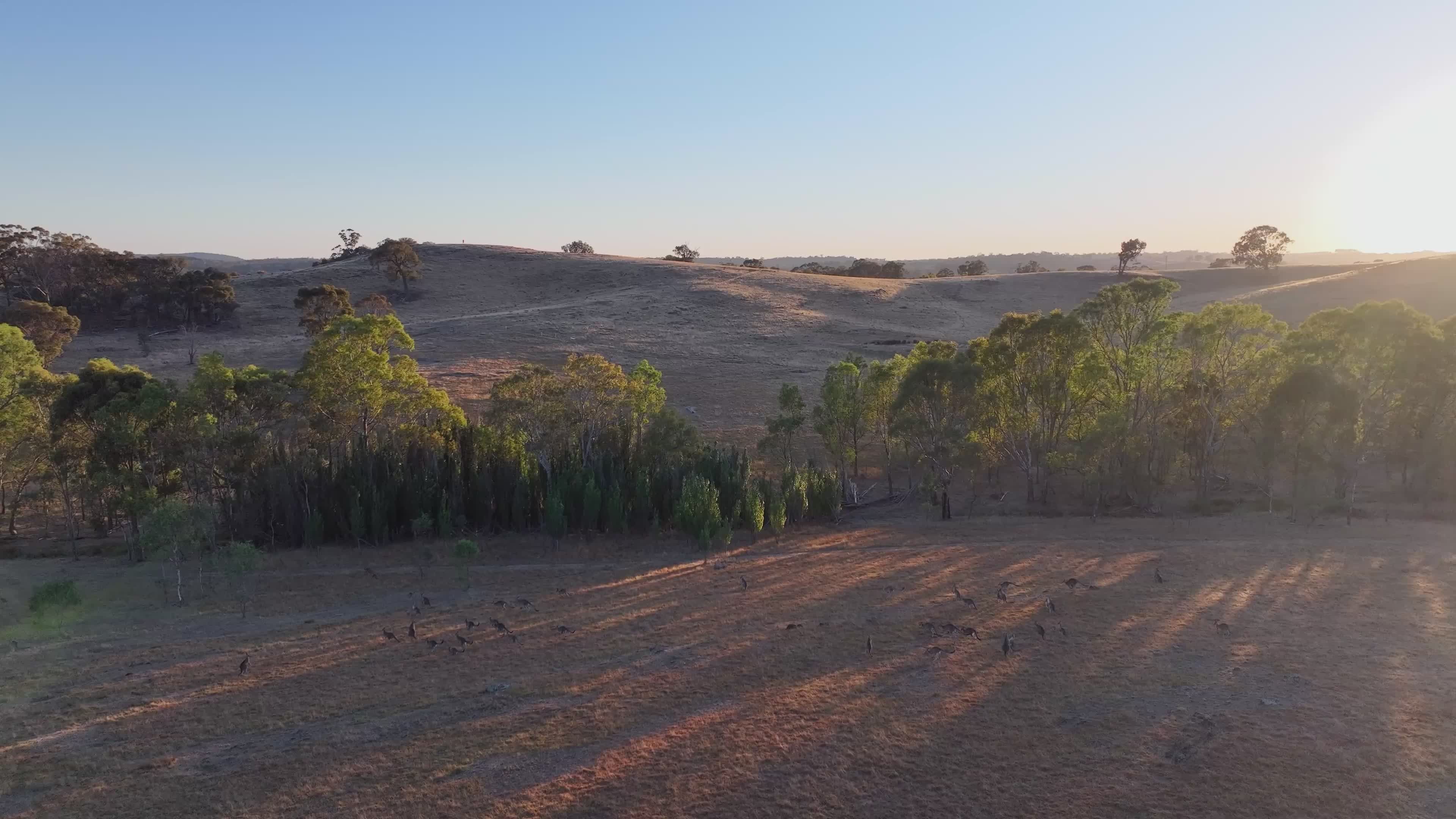 Outback Landscape Videos, Download The BEST Free 4k Stock Video Footage ...