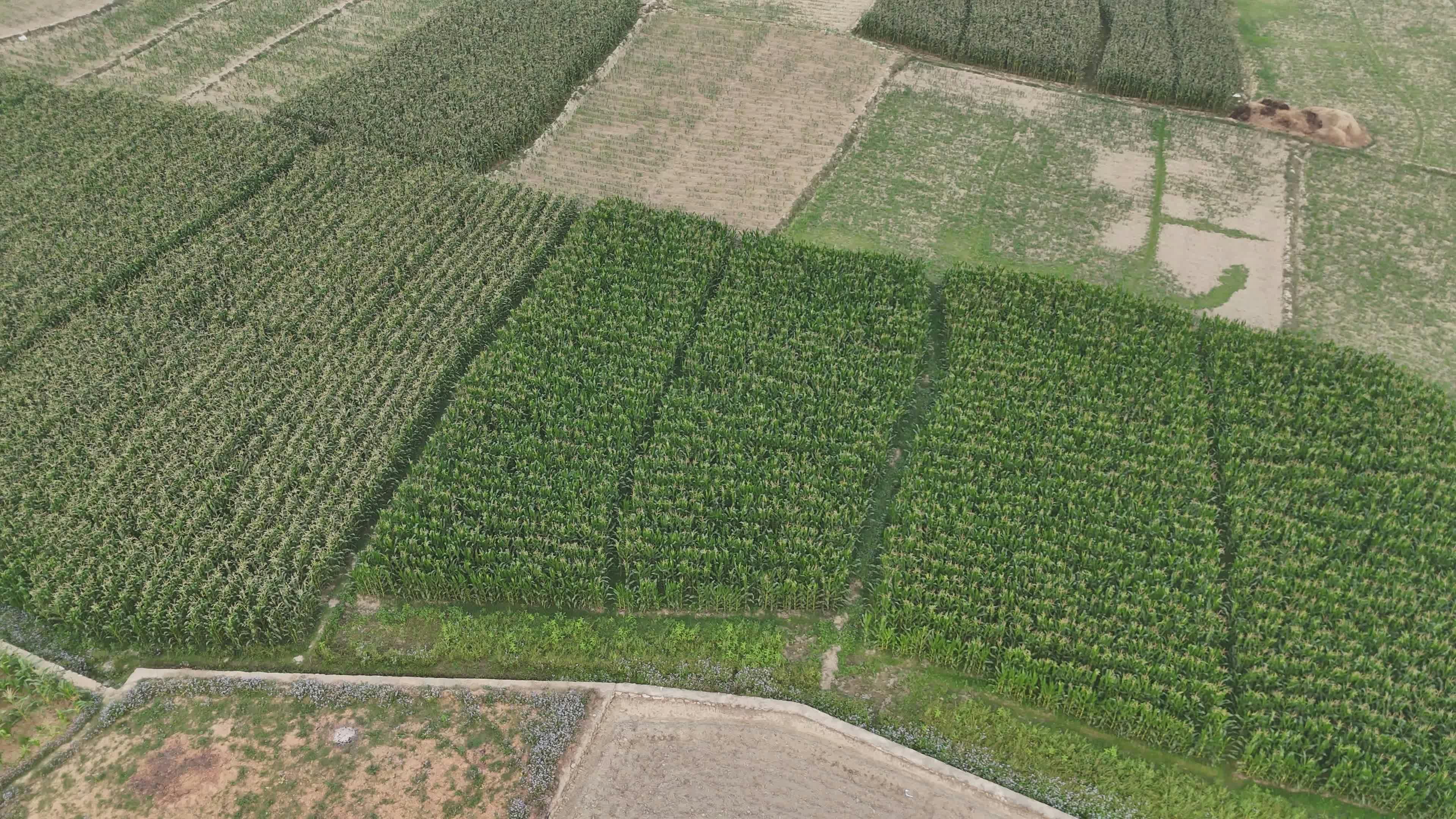 Anna Farm Videos, Download The BEST Free 4k Stock Video Footage & Anna ...