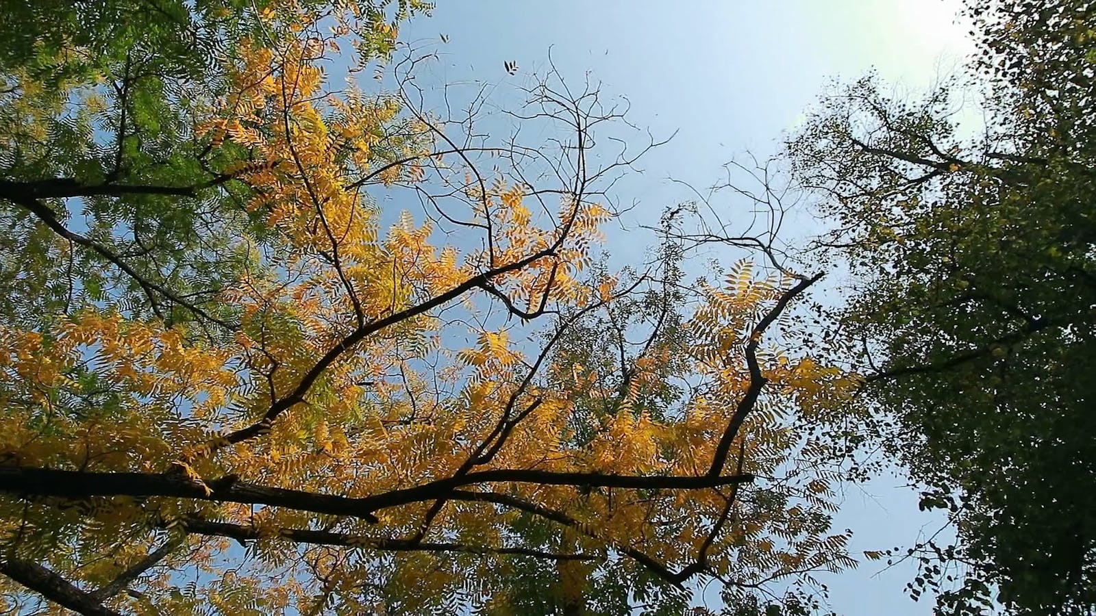 Video Videos, Download The BEST Free 4k Stock Video Footage & Video HD ...