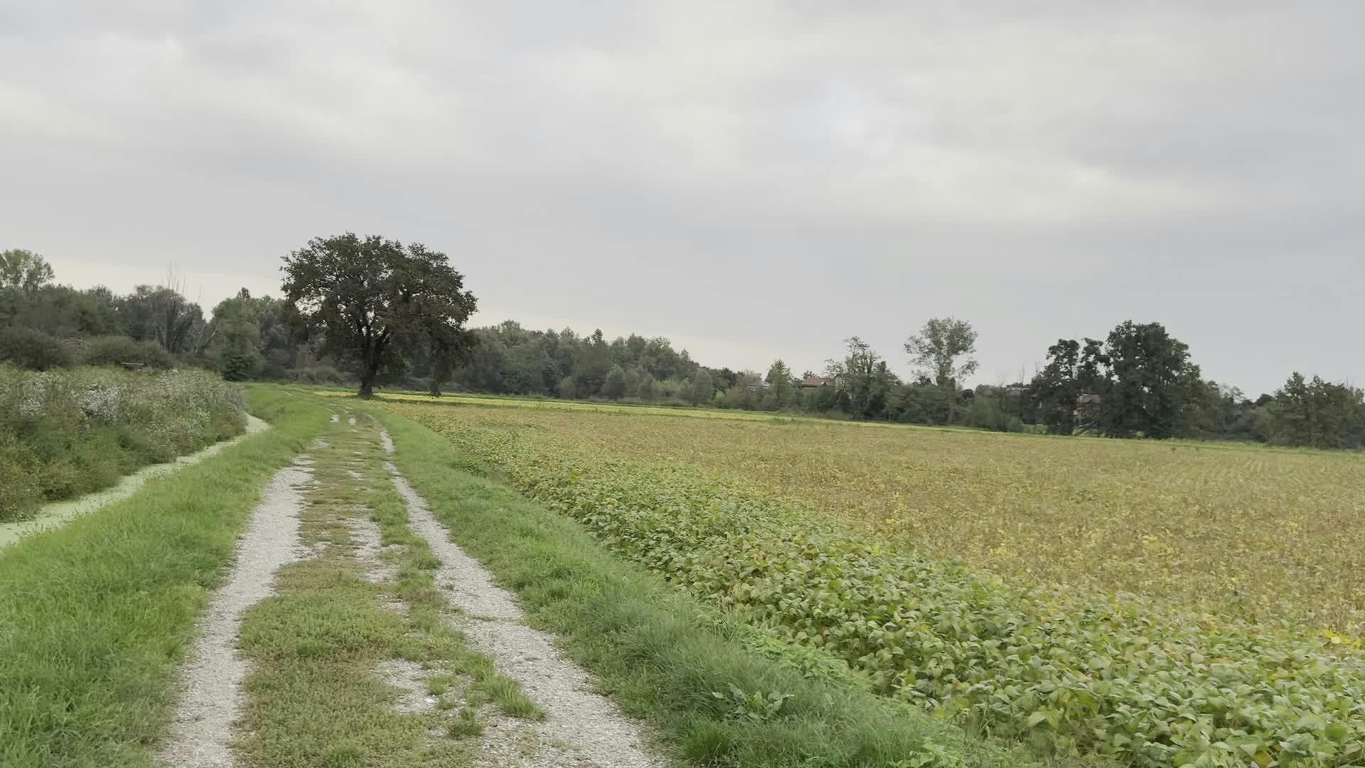 Sample Video For Editing Videos, Download The BEST Free 4k Stock Video ...