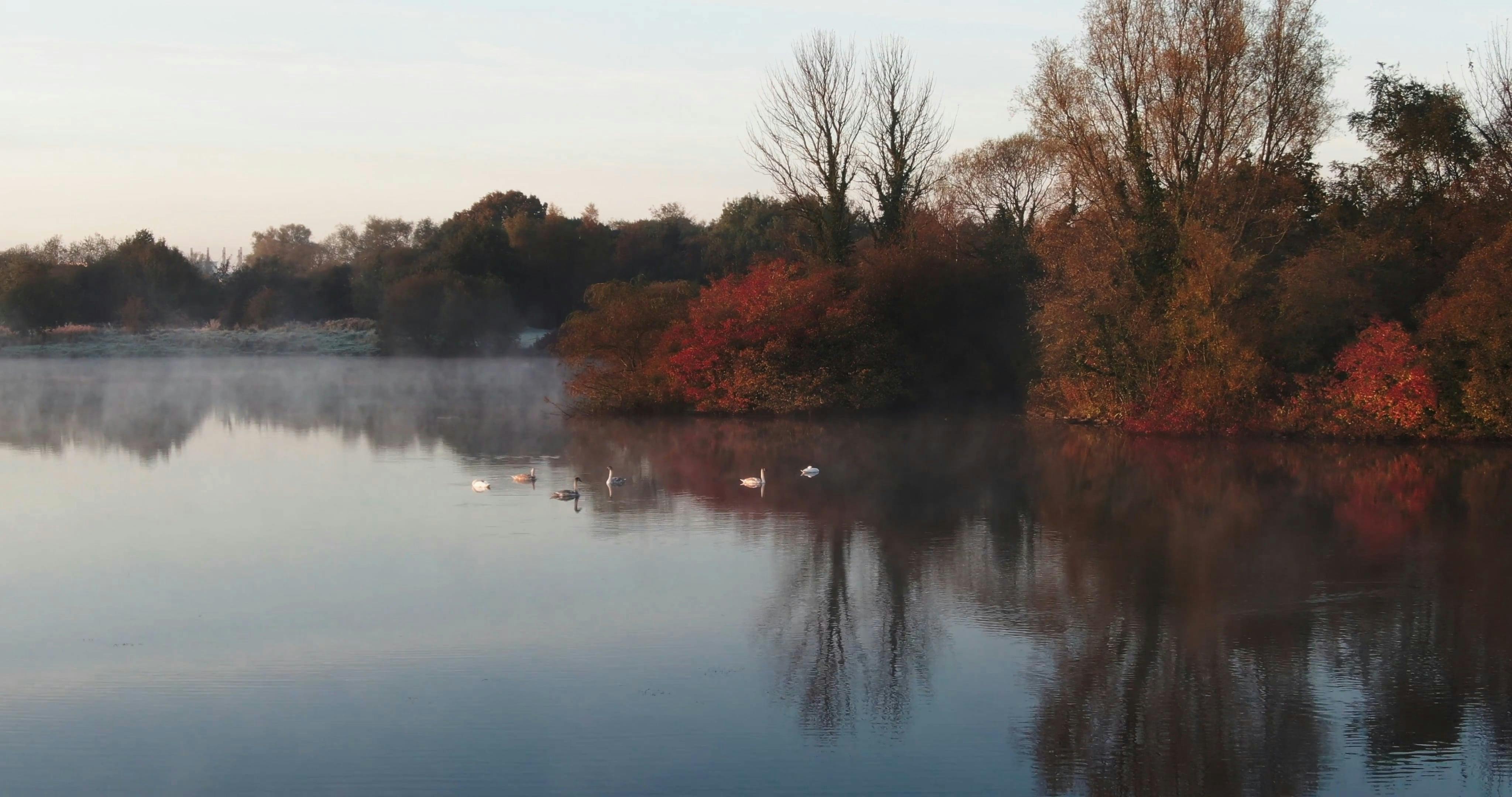 Still Videos, Download The BEST Free 4k Stock Video Footage & Still HD ...