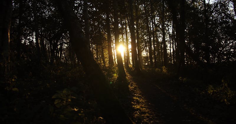 Sun Setting Videos, Download The BEST Free 4k Stock Video Footage & Sun ...