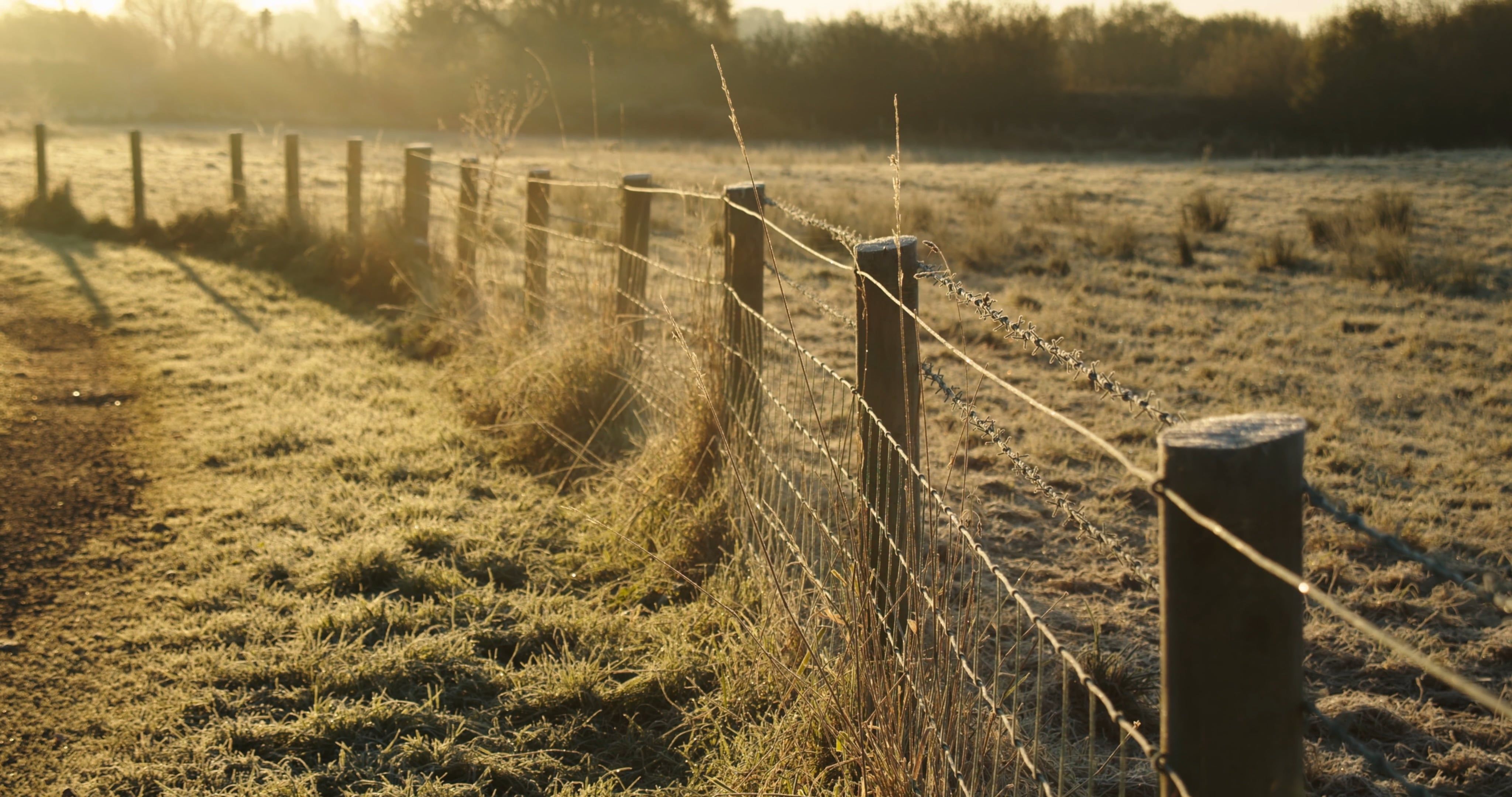 A Fence Built As Boundary Identification Of Properties Free Stock Video ...