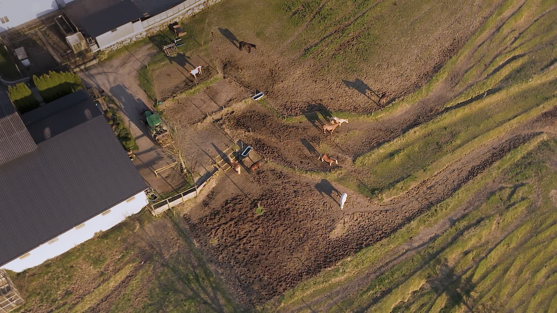 Aerial View of Countryside Farm with Grazing Horses Free Stock Video ...