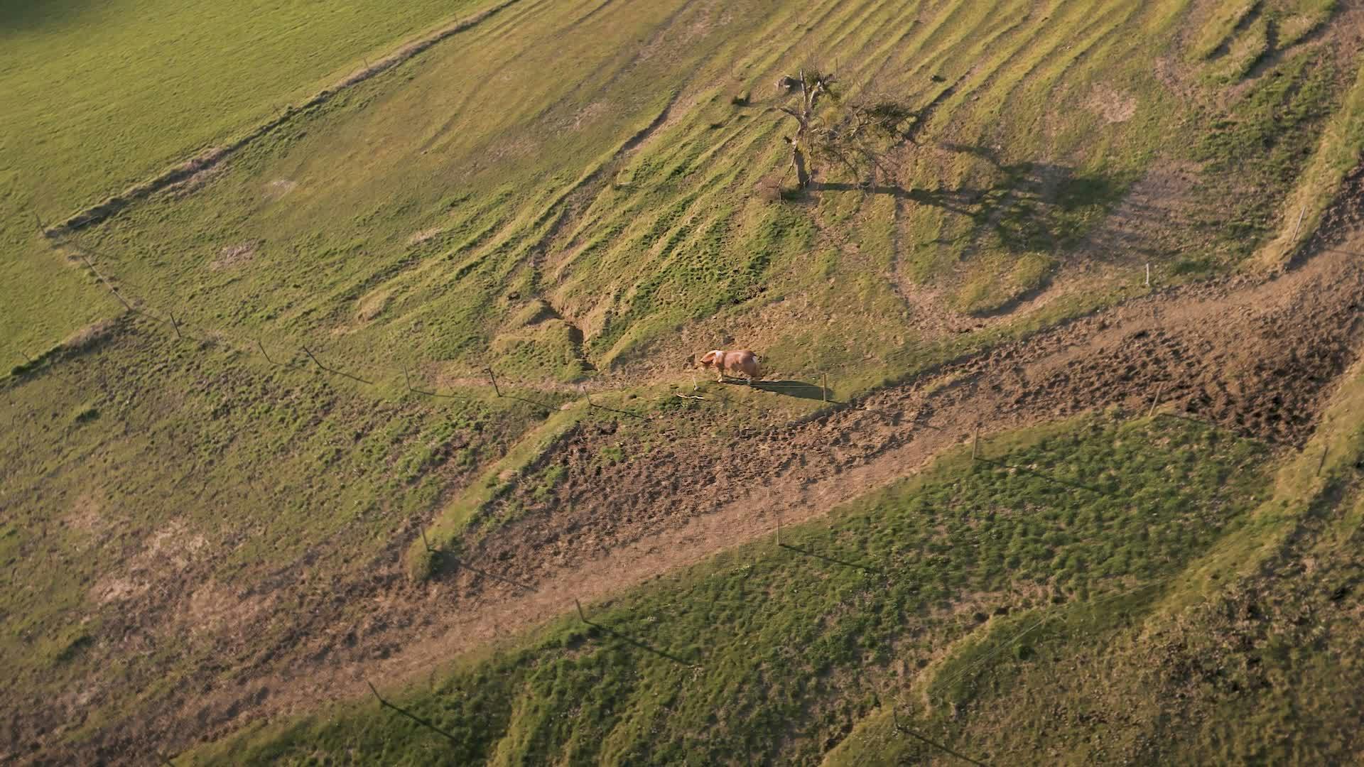 Pixabay Videos, Download The BEST Free 4k Stock Video Footage & Pixabay ...