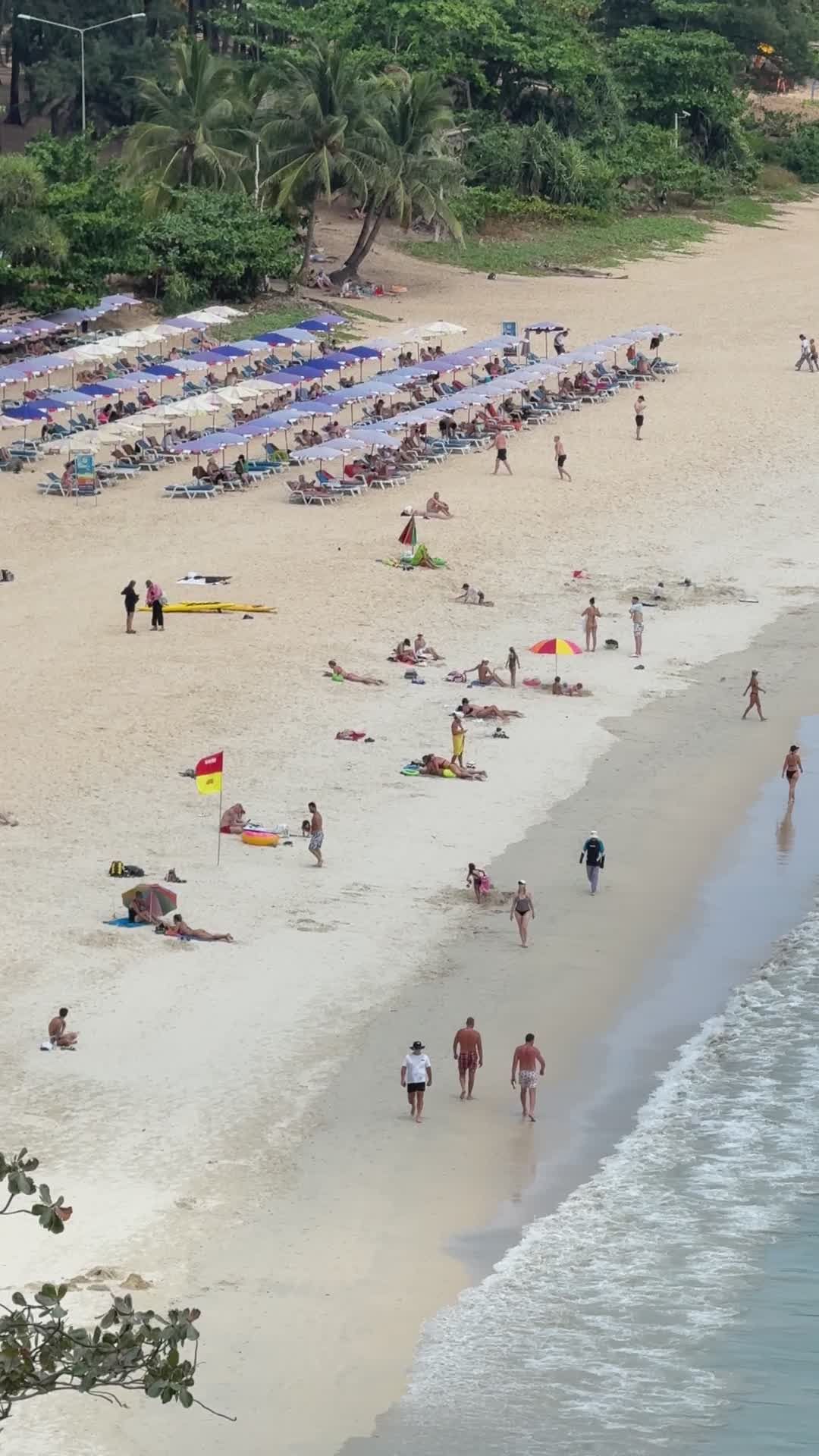 Aerial View of Relaxed Beachgoers on Tropical Seaside Free Stock Video ...