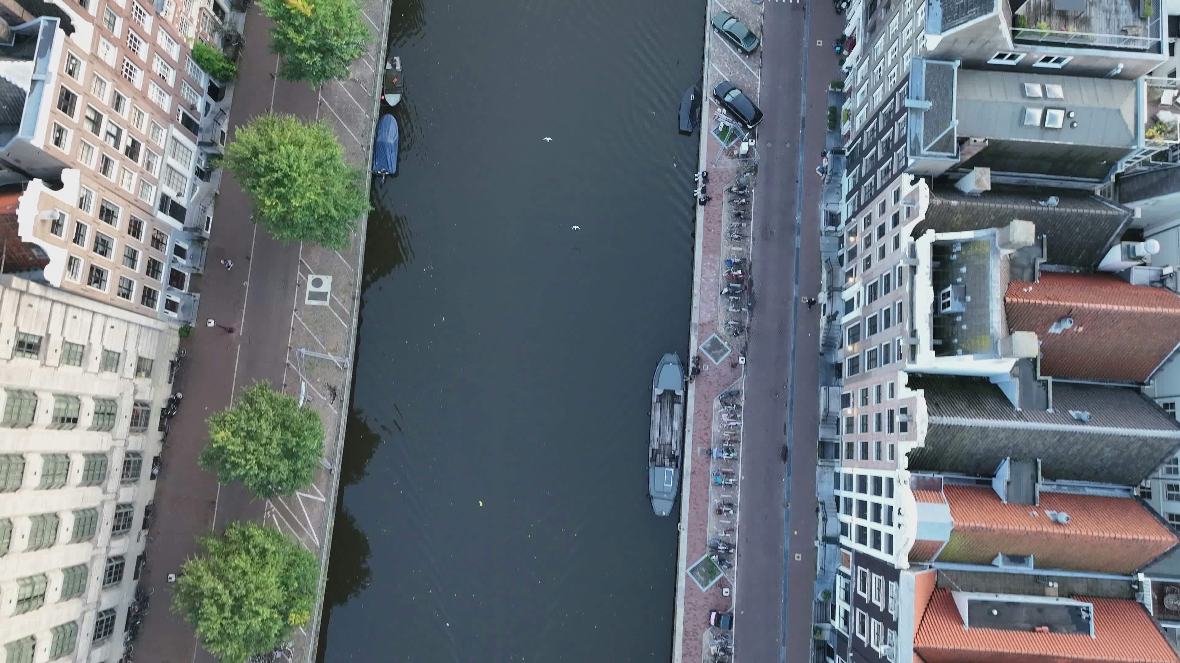 Cody Douglas - Photography