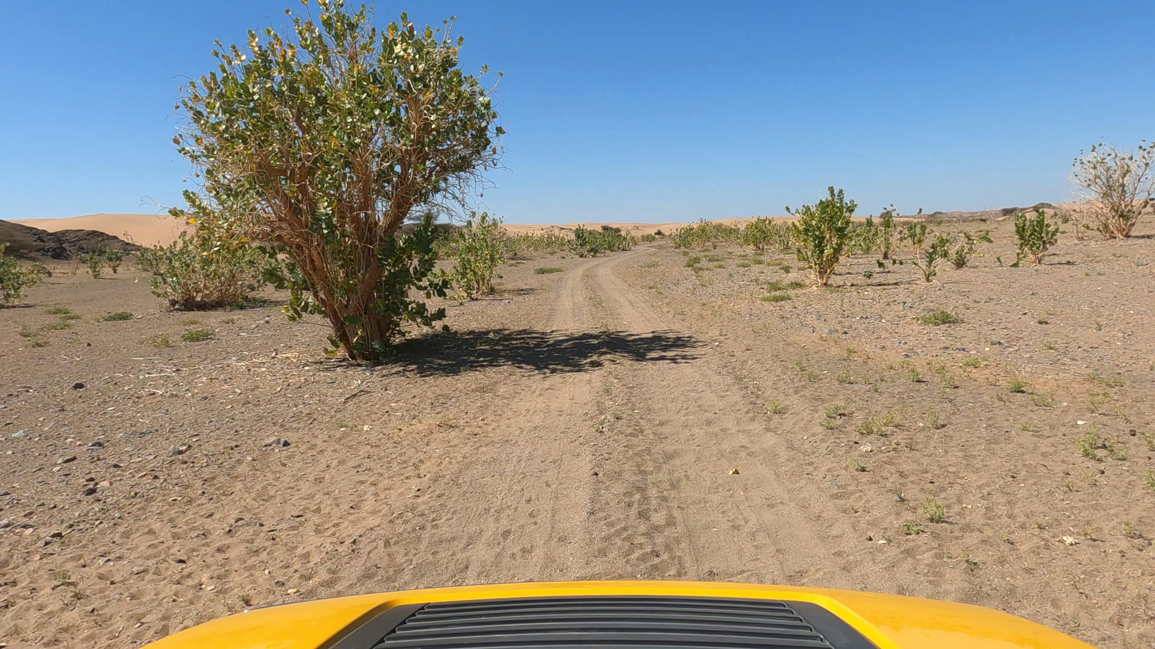 Hummer Car Videos, Download The BEST Free 4k Stock Video Footage ...