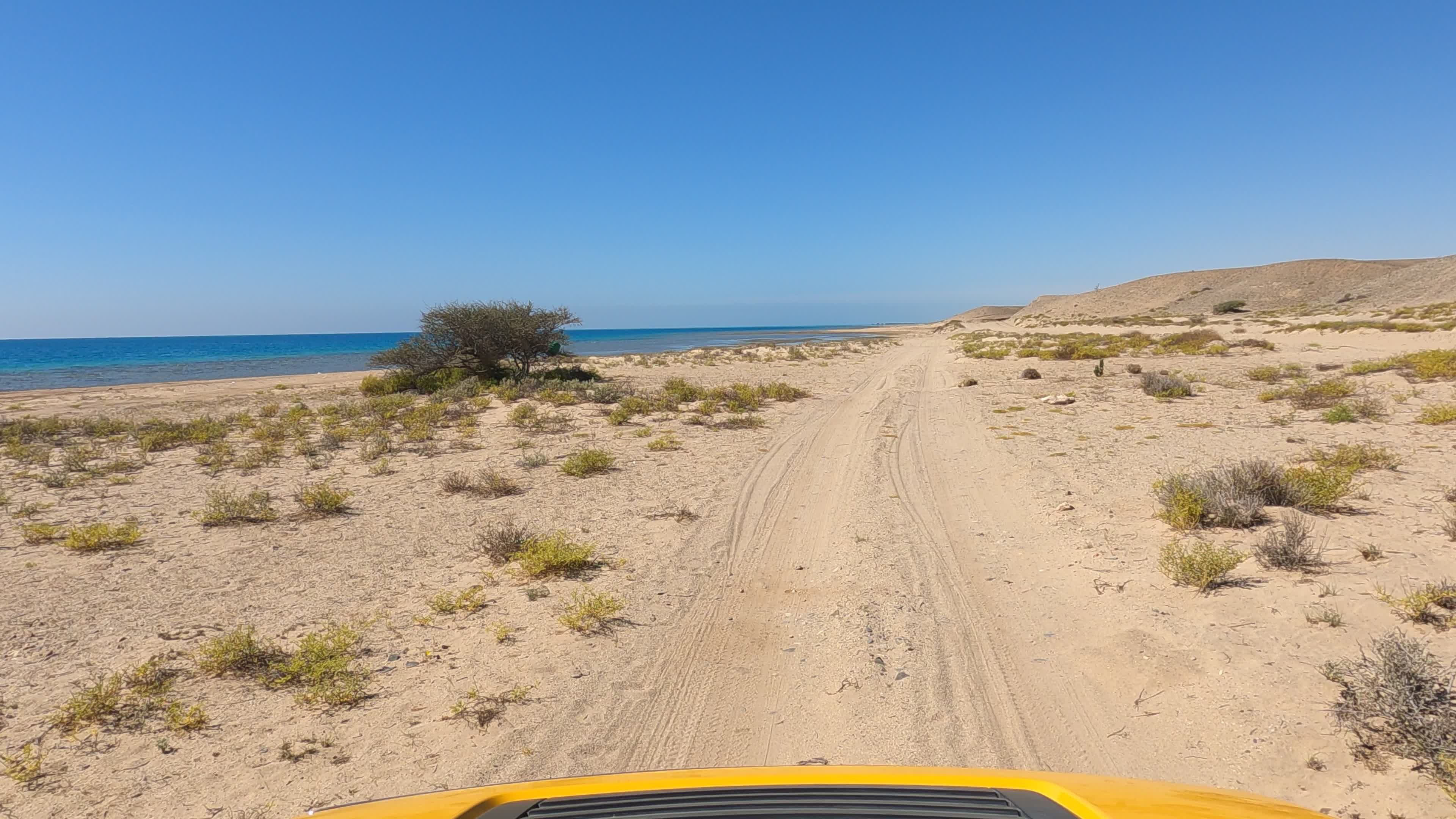 Scenic Desert Coast Drive in Saudi Arabia Free Stock Video Footage ...