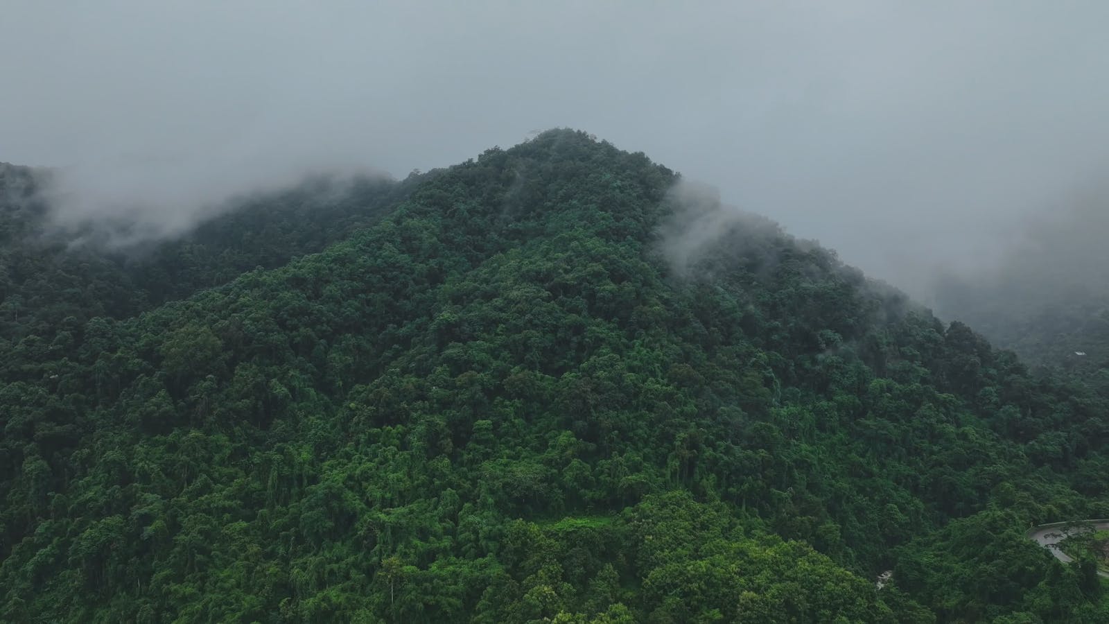 Royalty Free Videos, Download The BEST Free 4k Stock Video Footage ...