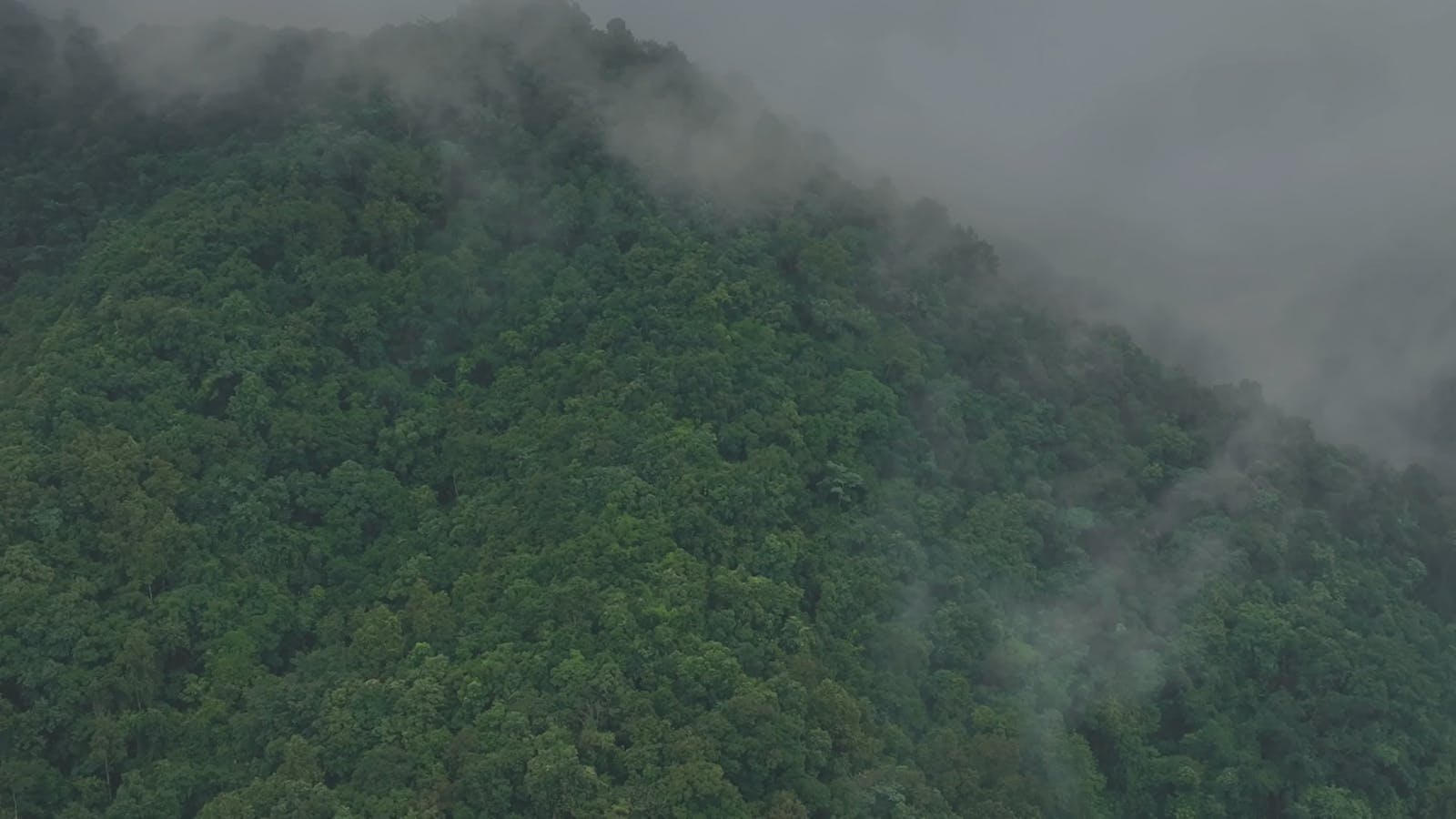 Nature Videography Videos, Download The BEST Free 4k Stock Video ...