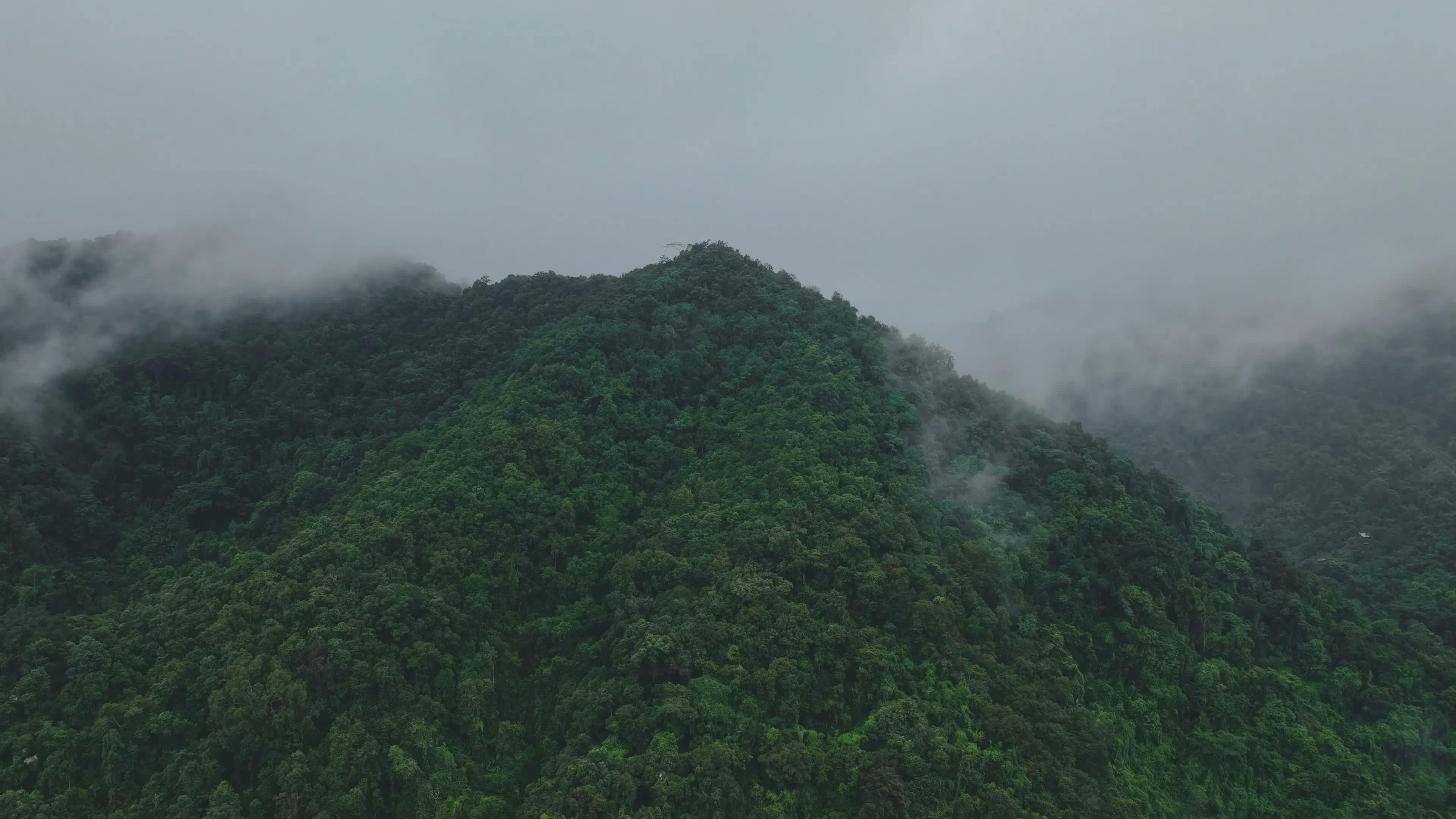 Free 4k Videos, Download The BEST Free 4k Stock Video Footage & Free 4k ...