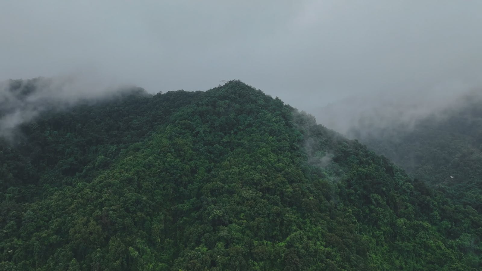 Free 4k Videos, Download The BEST Free 4k Stock Video Footage & Free 4k ...