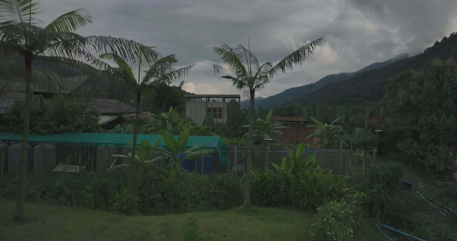 Nature Videography Videos, Download The BEST Free 4k Stock Video ...