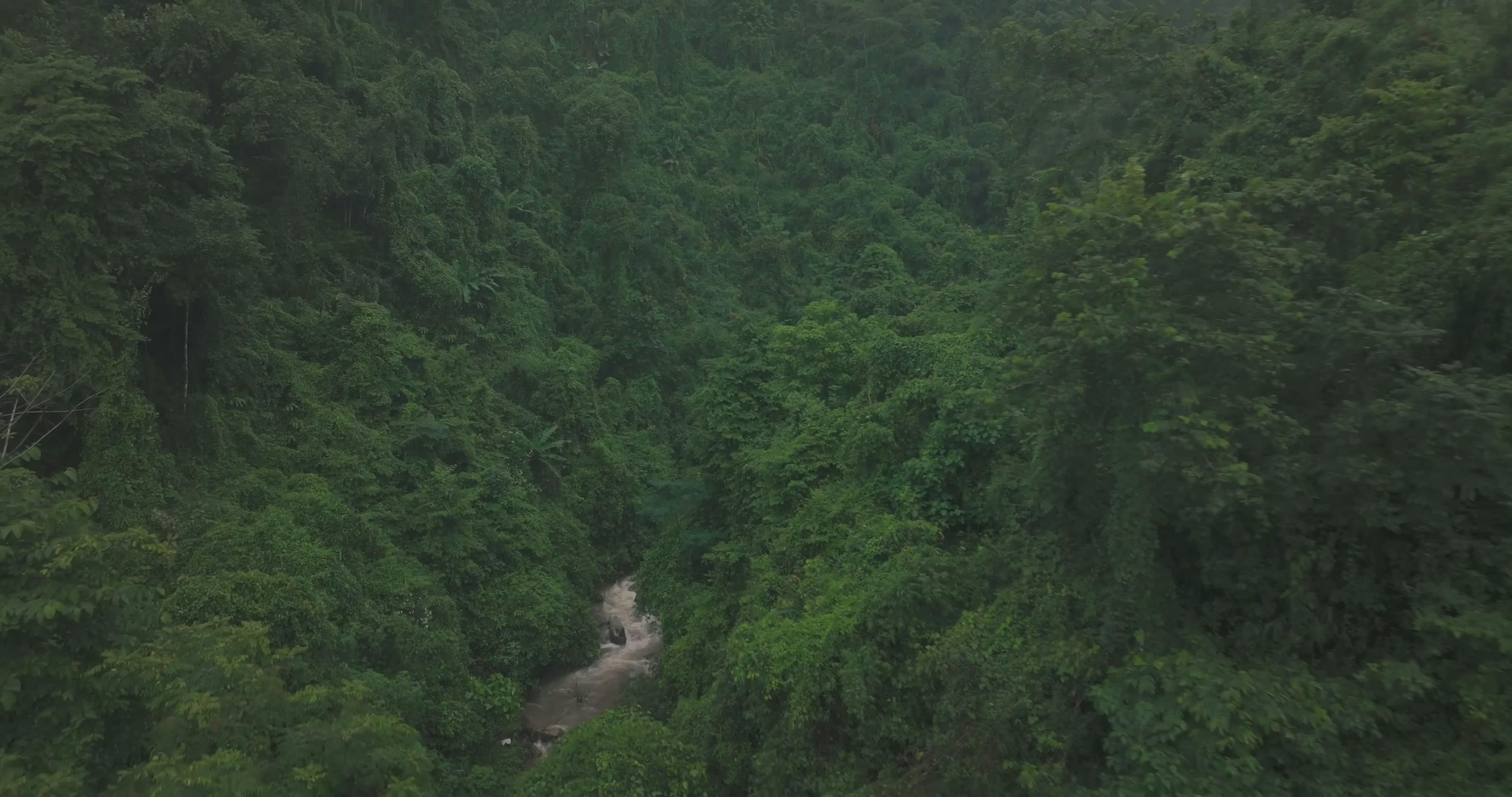 Pexels Videos, Download The BEST Free 4k Stock Video Footage & Pexels ...