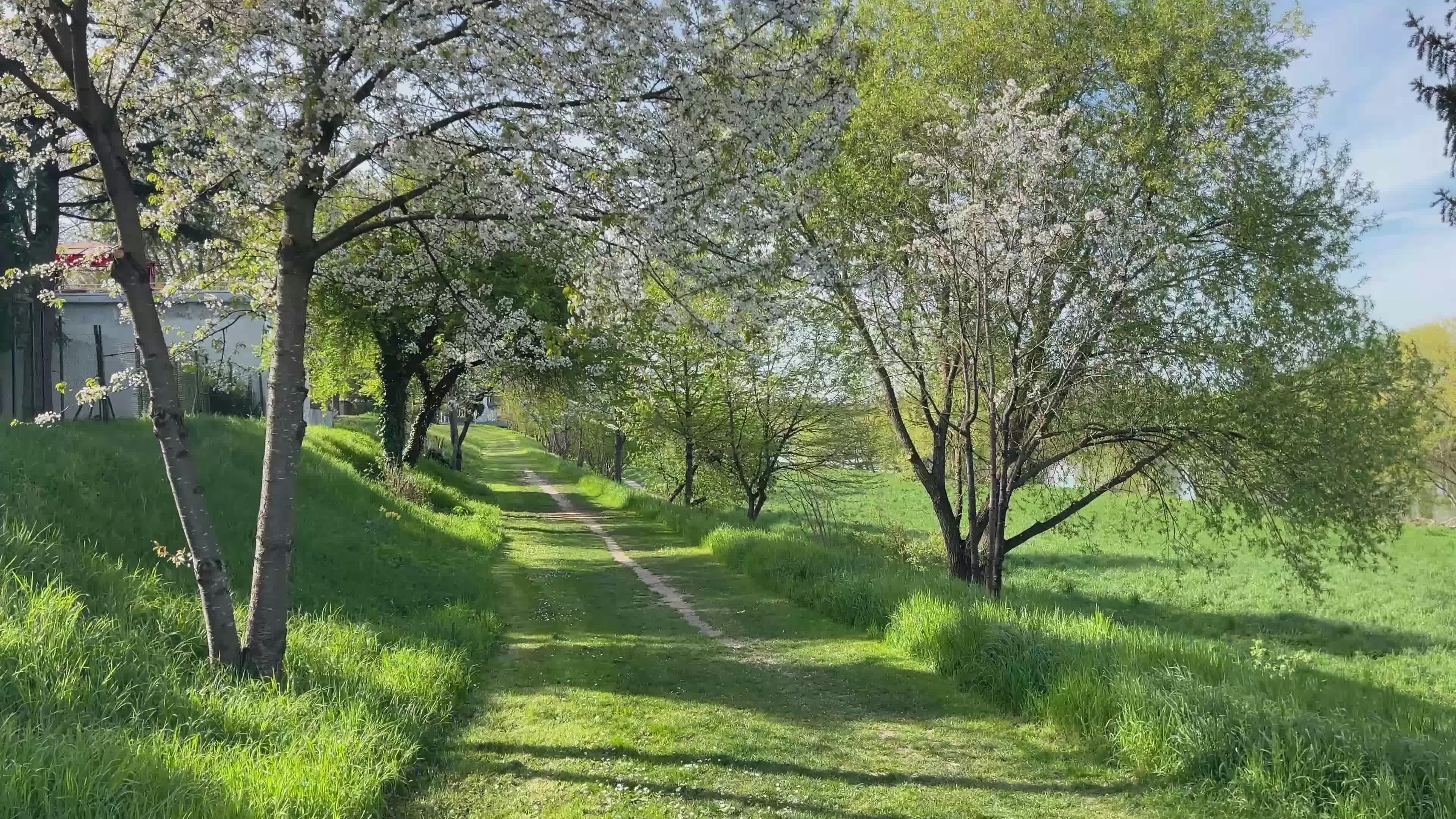 Calming Nature Videos, Download The BEST Free 4k Stock Video Footage ...