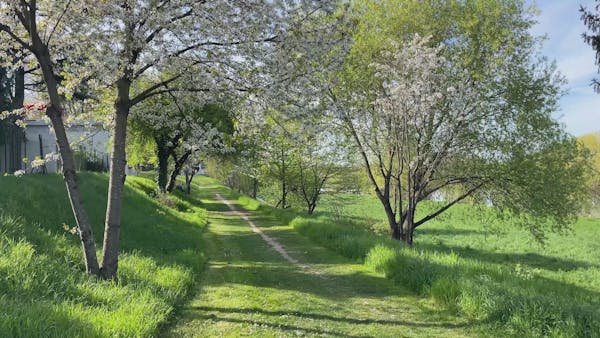 Calming Nature Videos, Download The BEST Free 4k Stock Video Footage ...