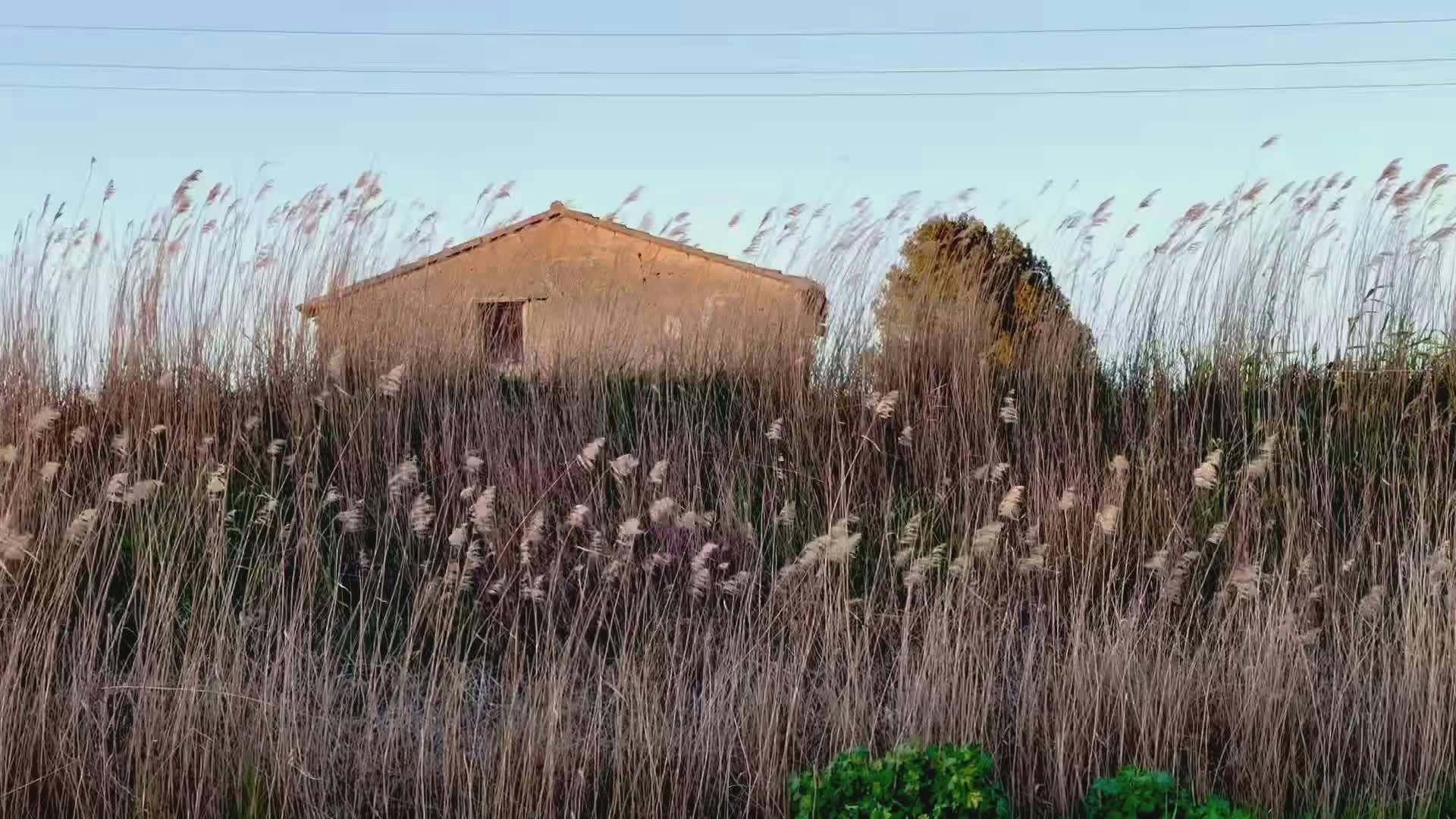 House And Landscape Videos, Download The BEST Free 4k Stock Video ...