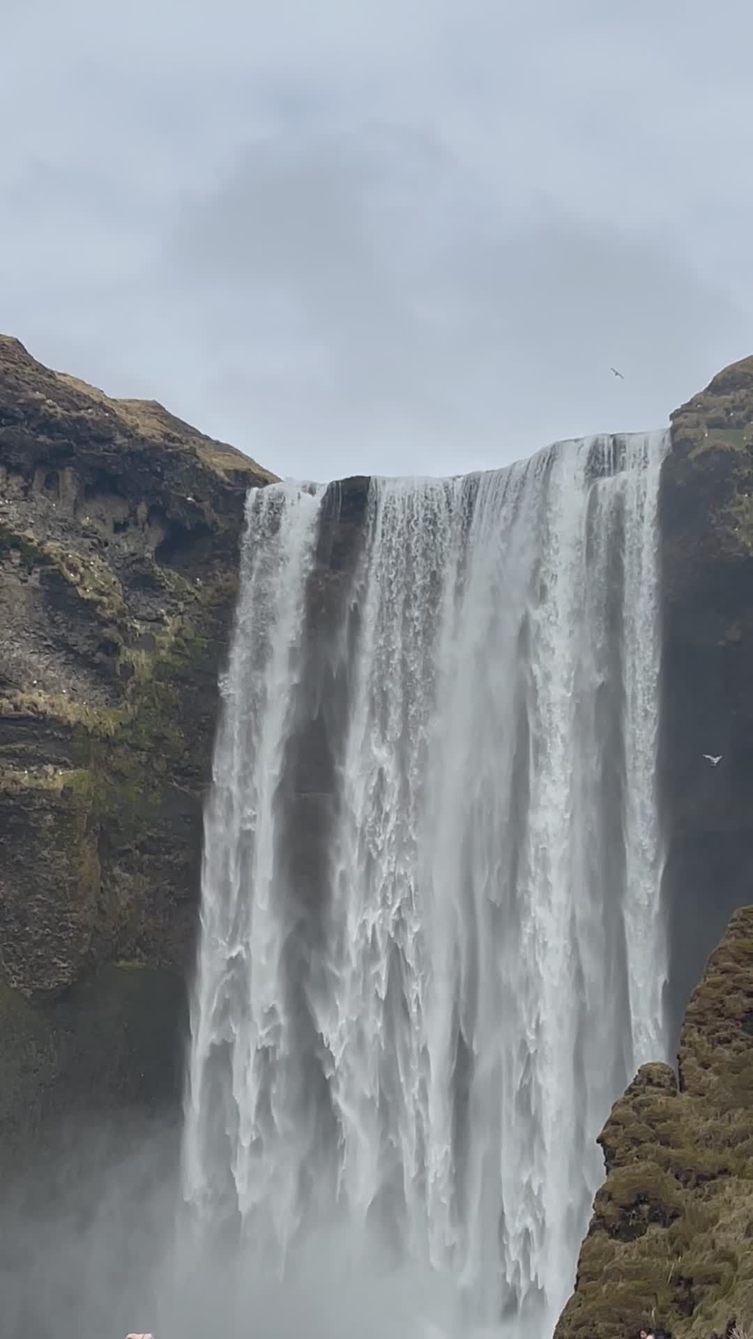 Spray Doku Videos, Download The BEST Free 4k Stock Video Footage ...