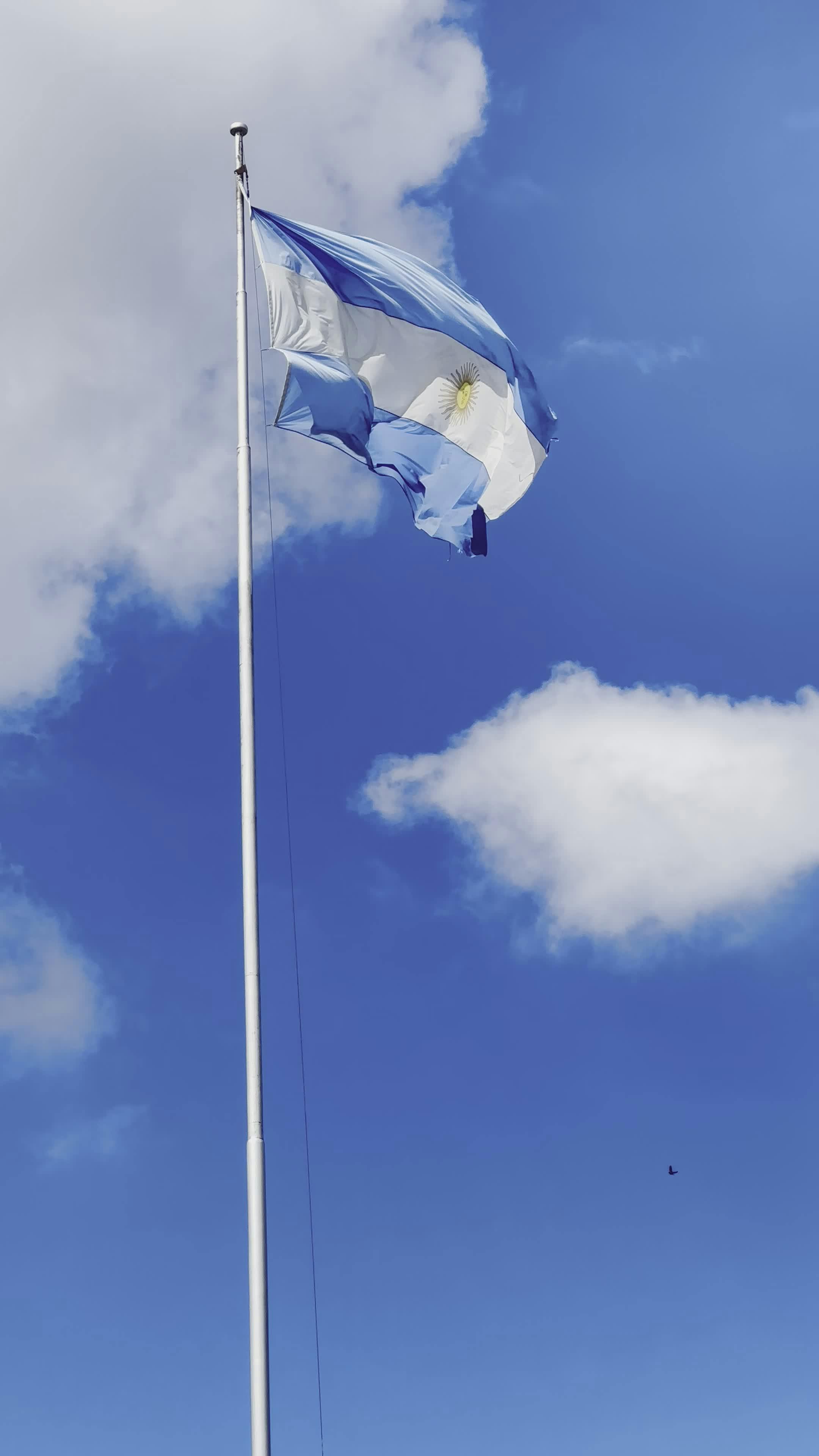 Bandera Argentina Flameando · Vídeo de stock gratuito