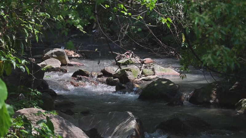 Ipcam Mother Son Videos Download The Best Free 4k Stock Video Footage
