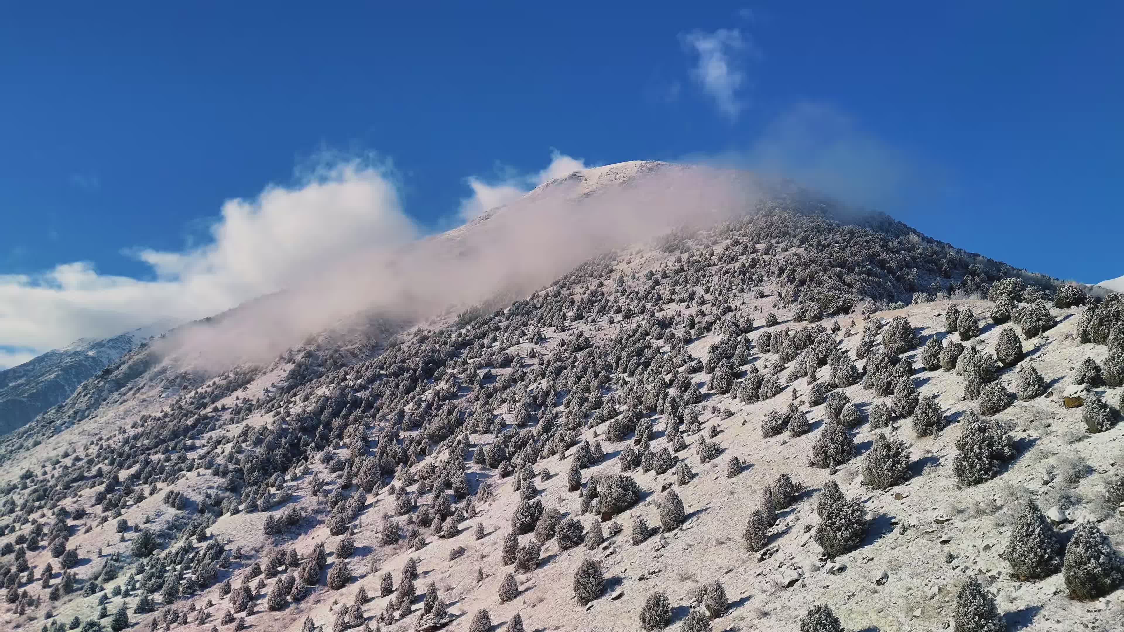 Slope Biler Videos, Download The BEST Free 4k Stock Video Footage ...