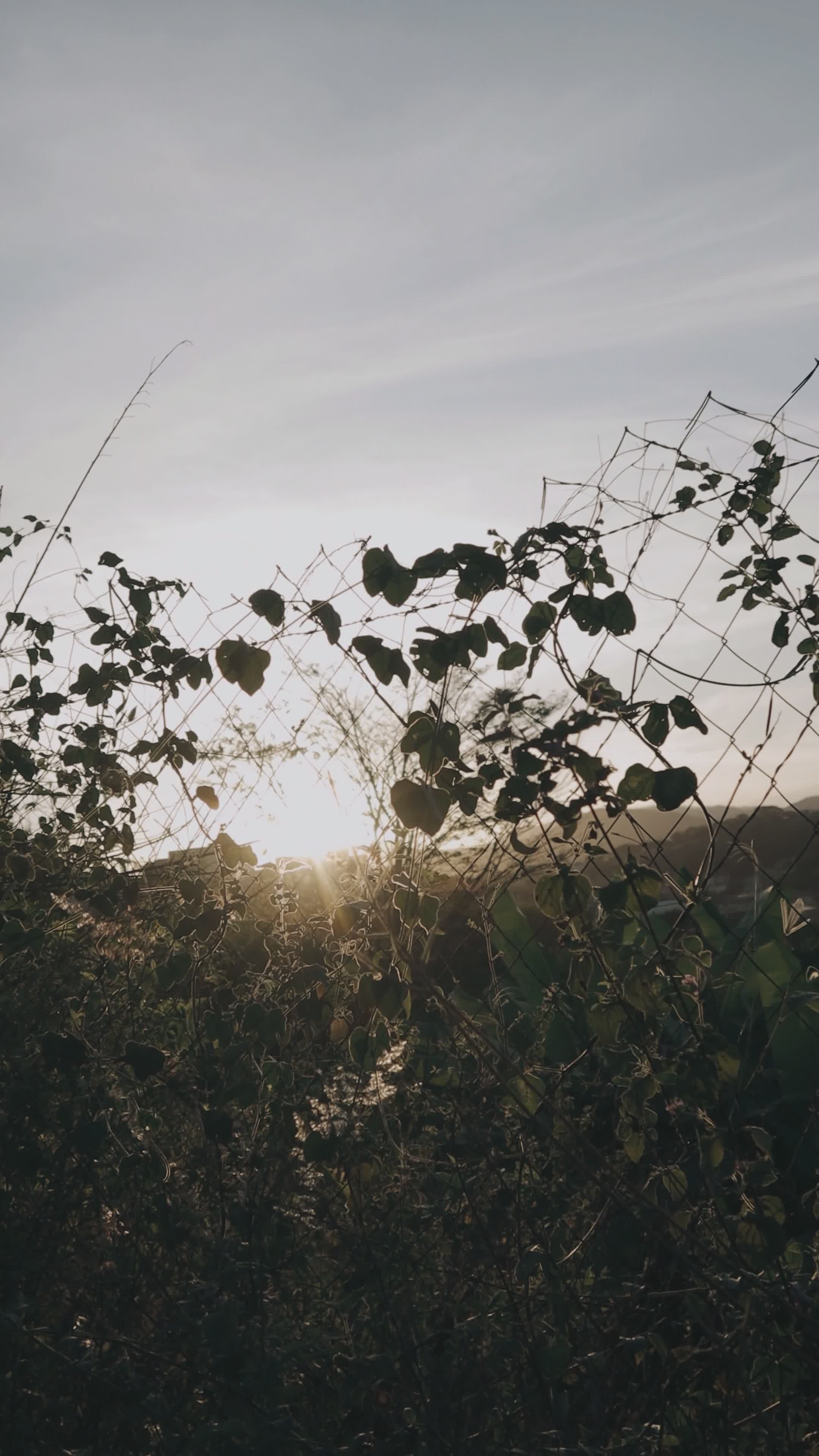 Sun Exposure Videos, Download The BEST Free 4k Stock Video Footage ...