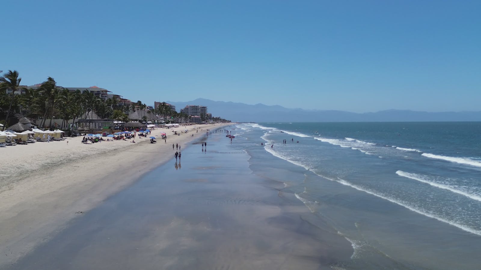 Aplikasi+Video+Bokep+Jepang Videos, Download The BEST Free 4k Stock Video Footage & Aplikasi ...