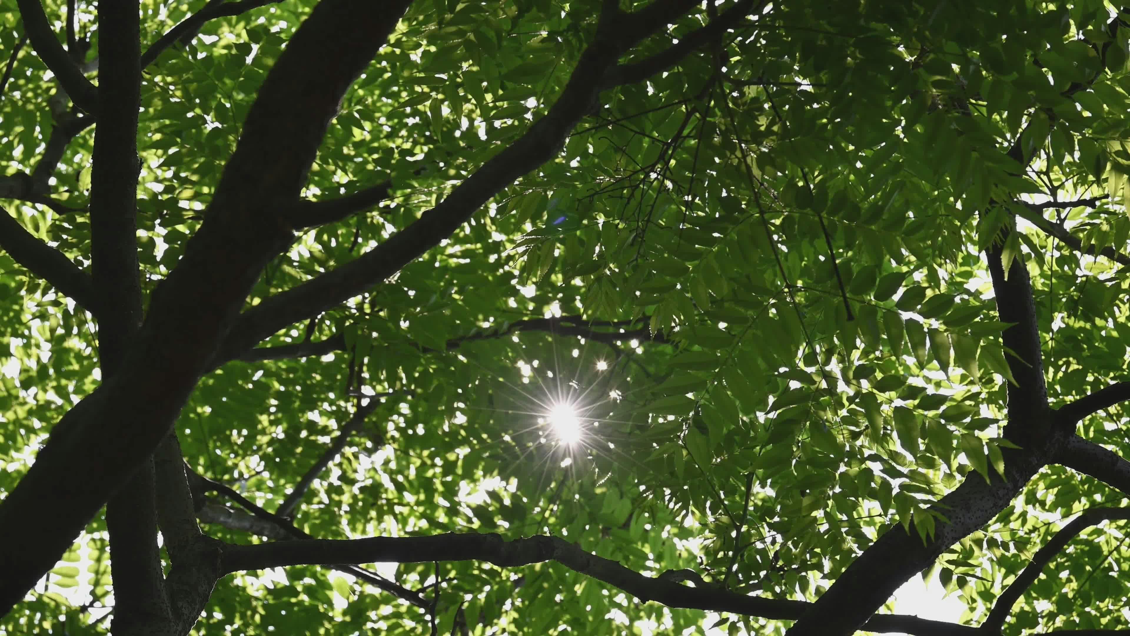 Photoshop Filter Videos, Download The BEST Free 4k Stock Video Footage ...