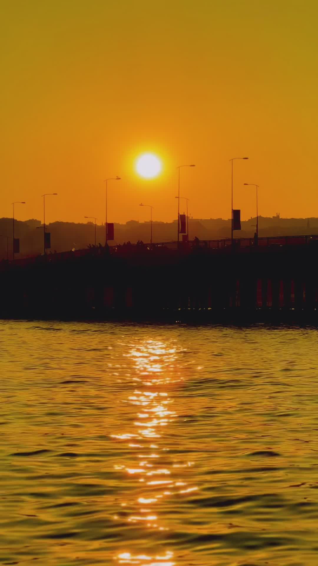 Golden Hour Park Landscape with Trees and Water Free Stock Video ...