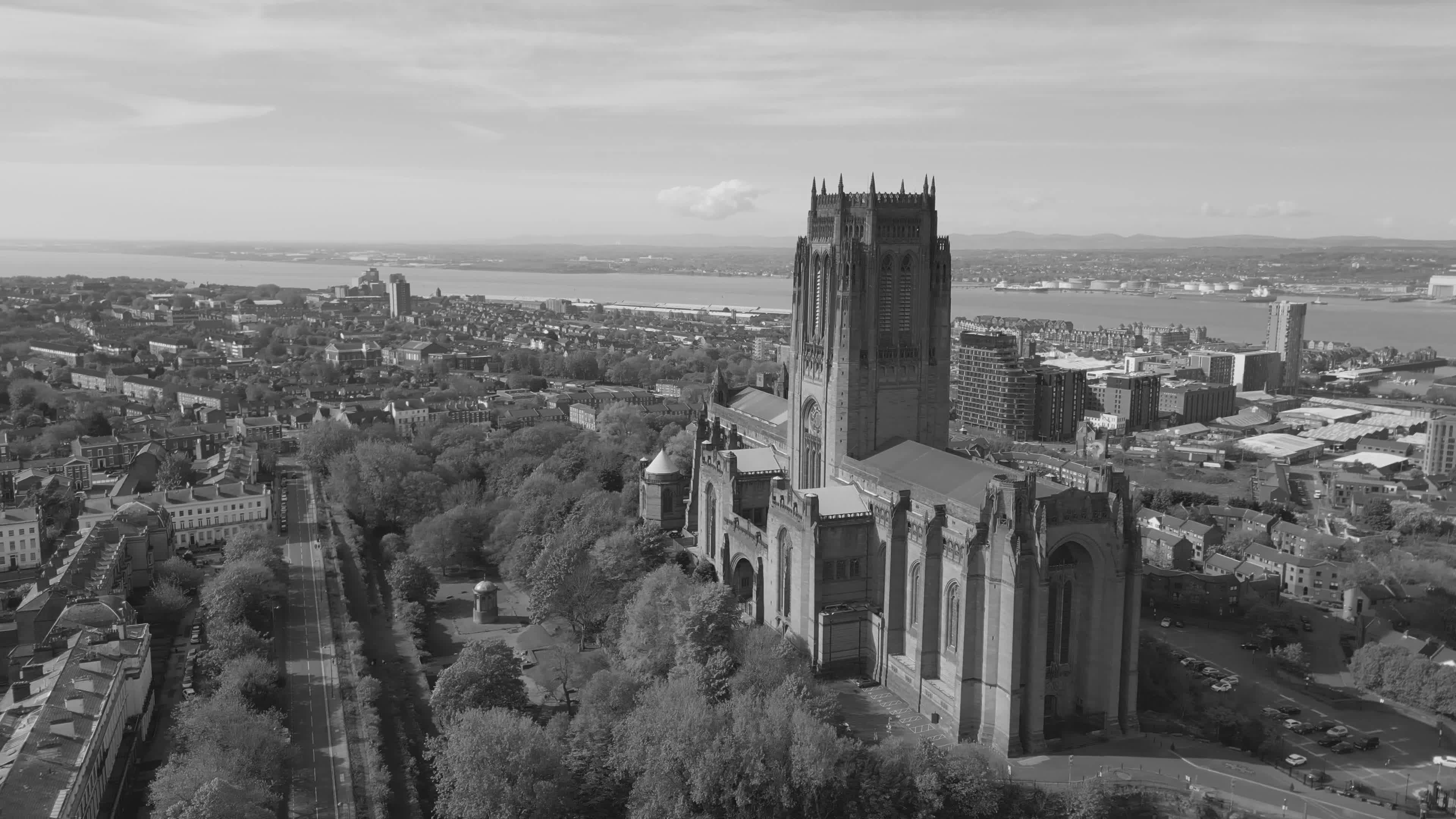 Black+Tiger+Mame+Rom Videos, Download The BEST Free 4k Stock Video ...