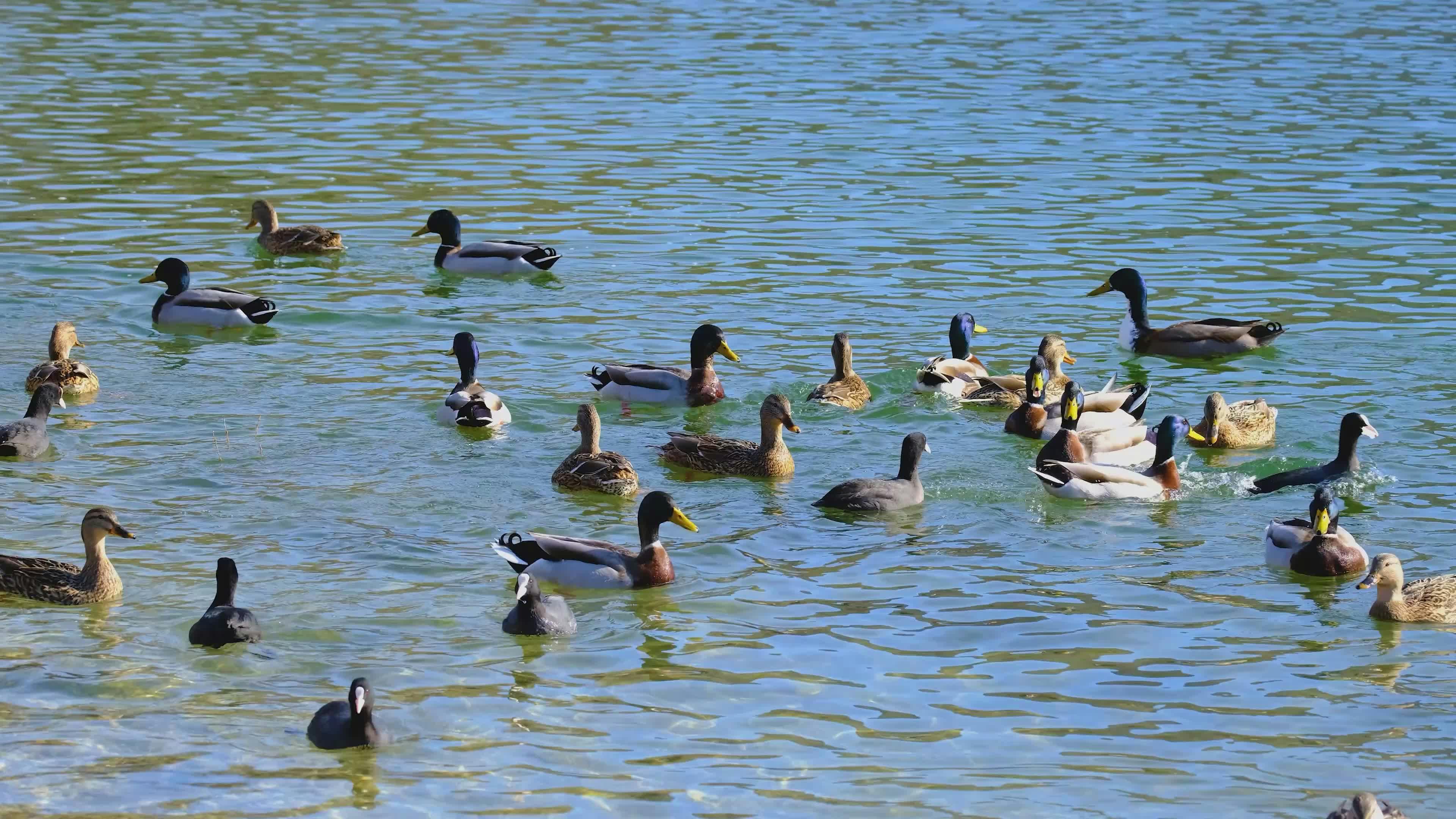 Drake X Launchpad Videos, Download The BEST Free 4k Stock Video Footage ...