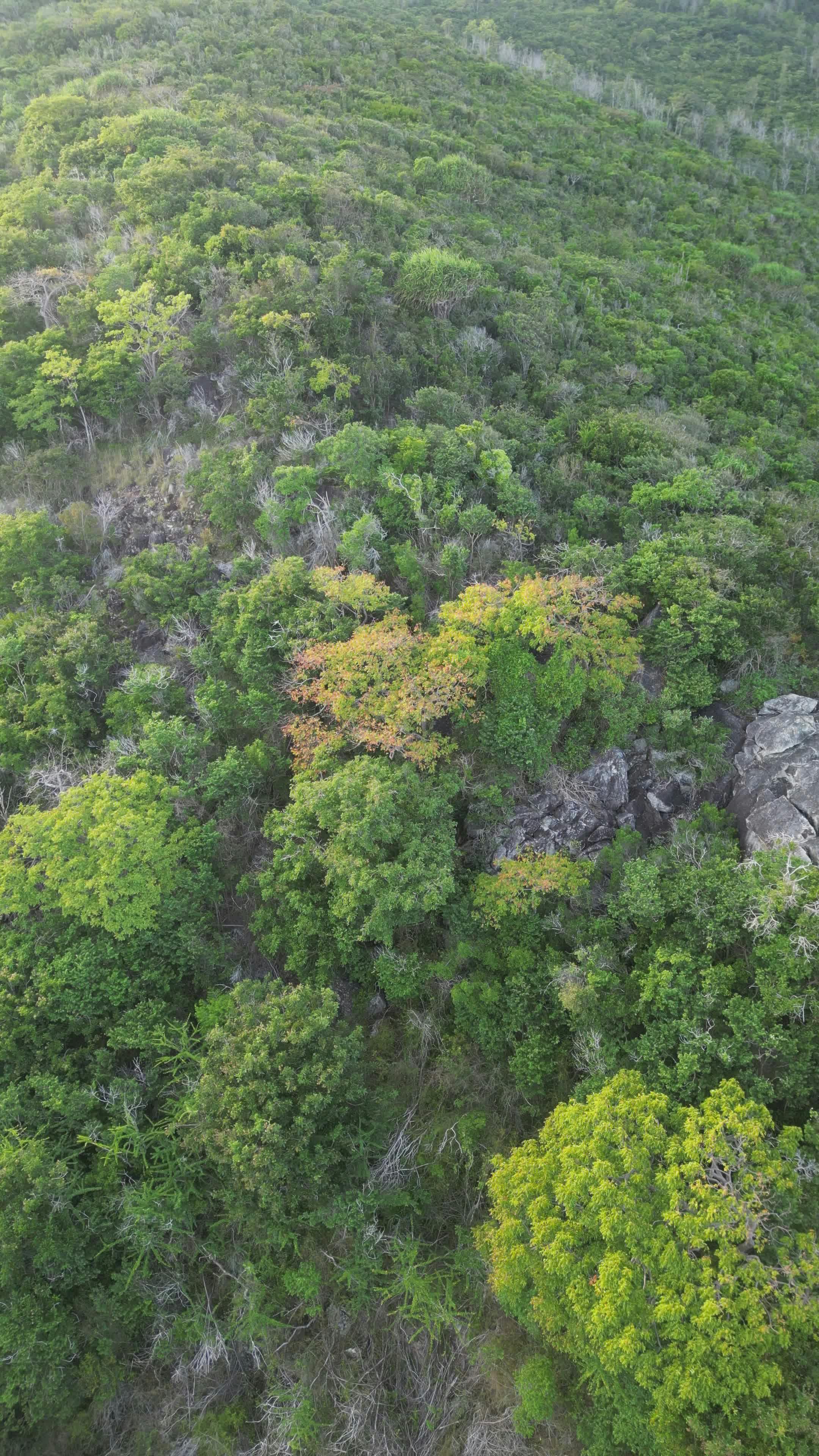 Environmental Consulting Videos, Download The BEST Free 4k Stock Video ...