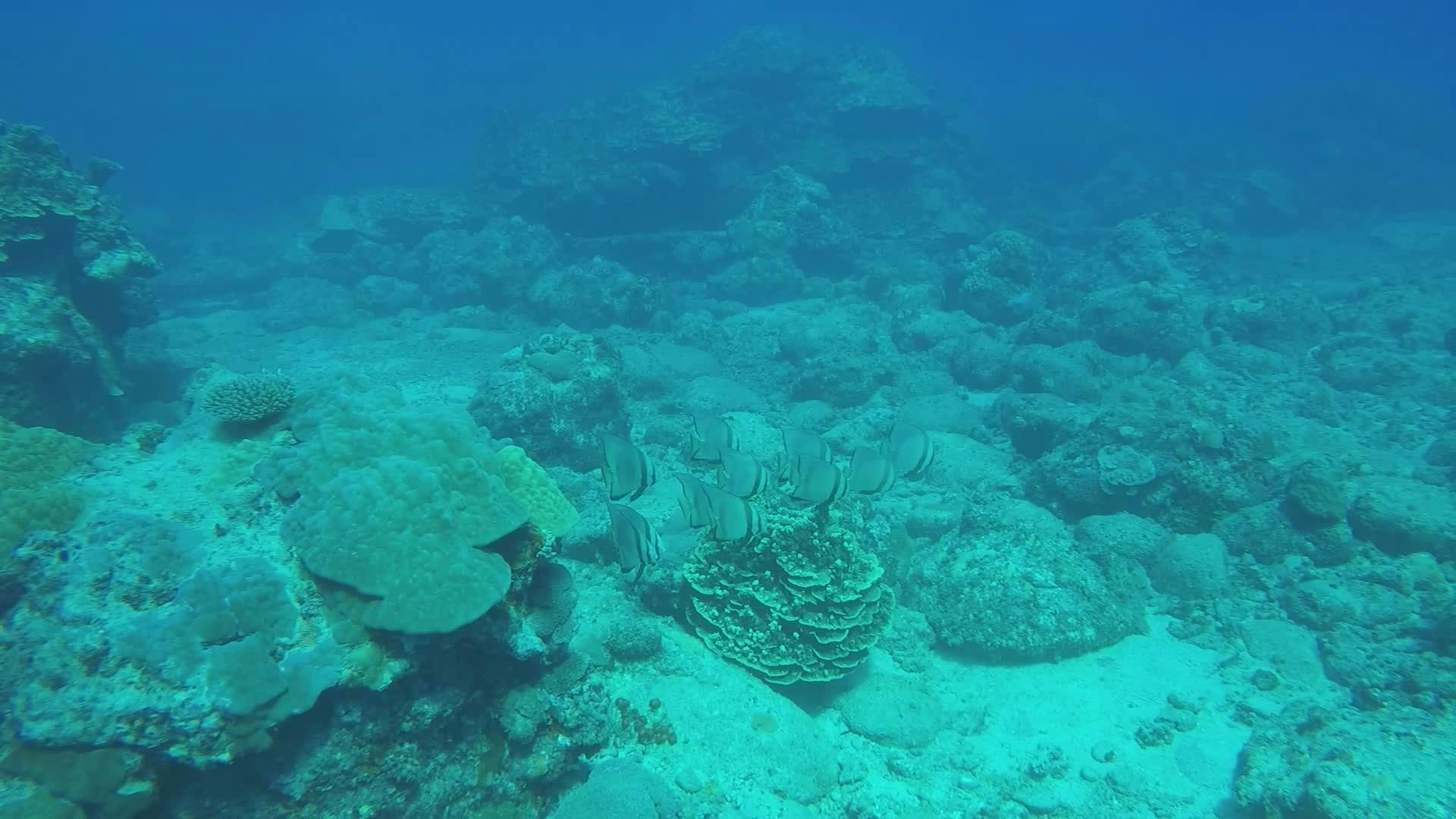 Submarine Periscope Videos, Download The BEST Free 4k Stock Video ...