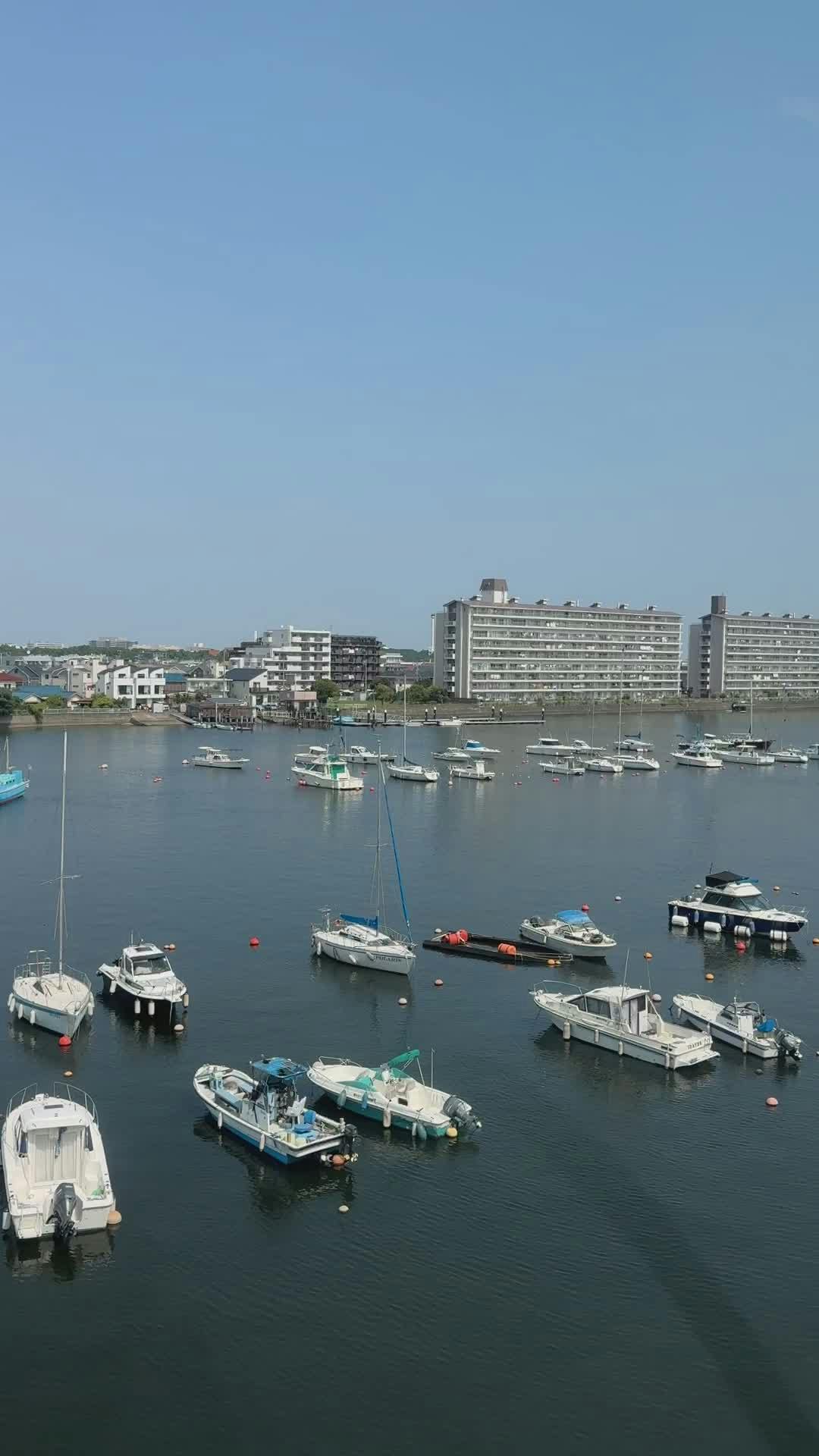 Serene Marina with Docked Boats Under Blue Sky Free Stock Video Footage ...