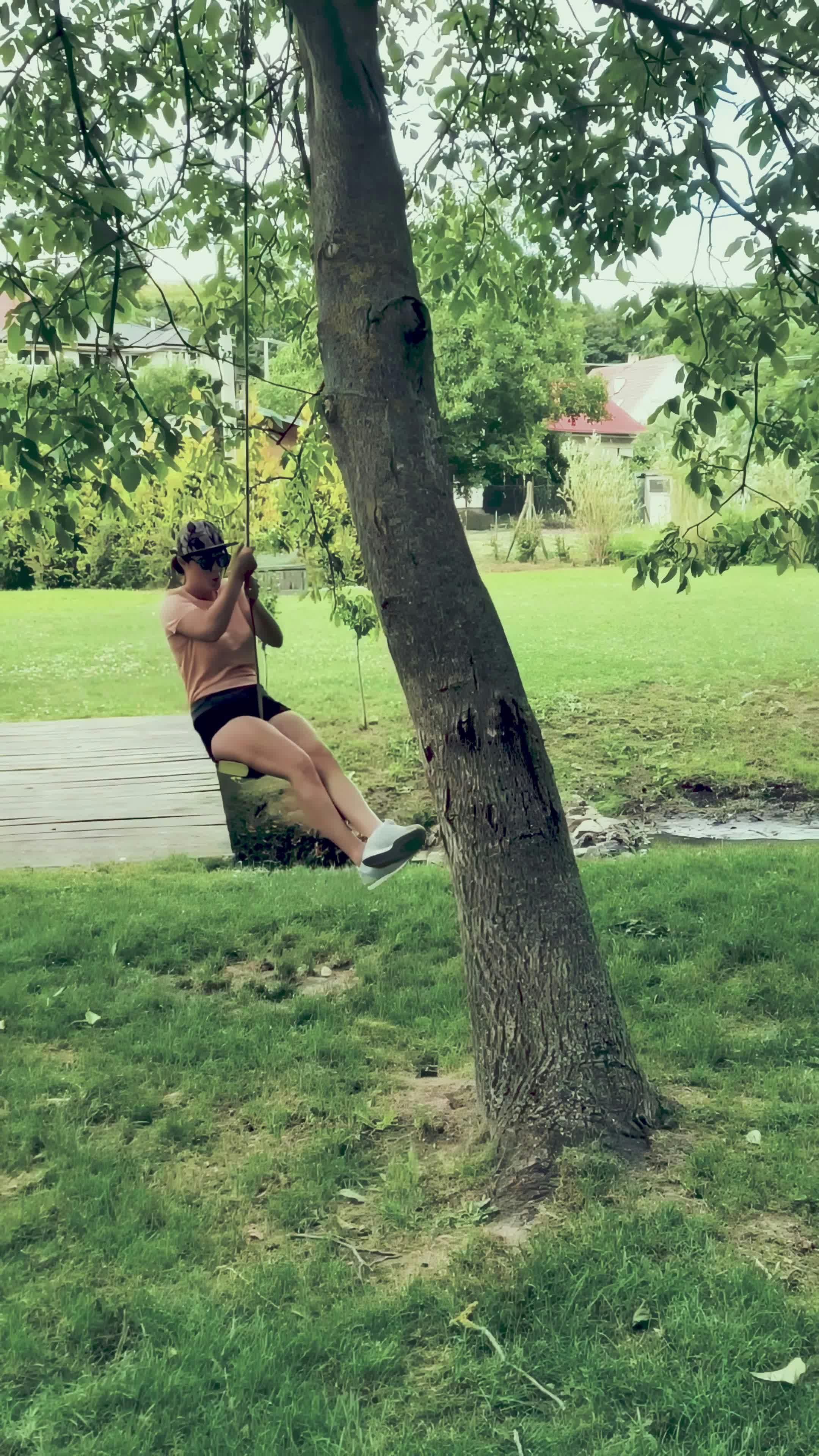 Tree A Palent Videos, Download The BEST Free 4k Stock Video Footage ...