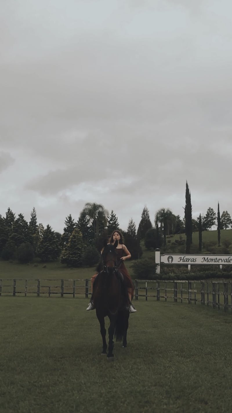 Horse Poop Videos, Download The BEST Free 4k Stock Video Footage ...