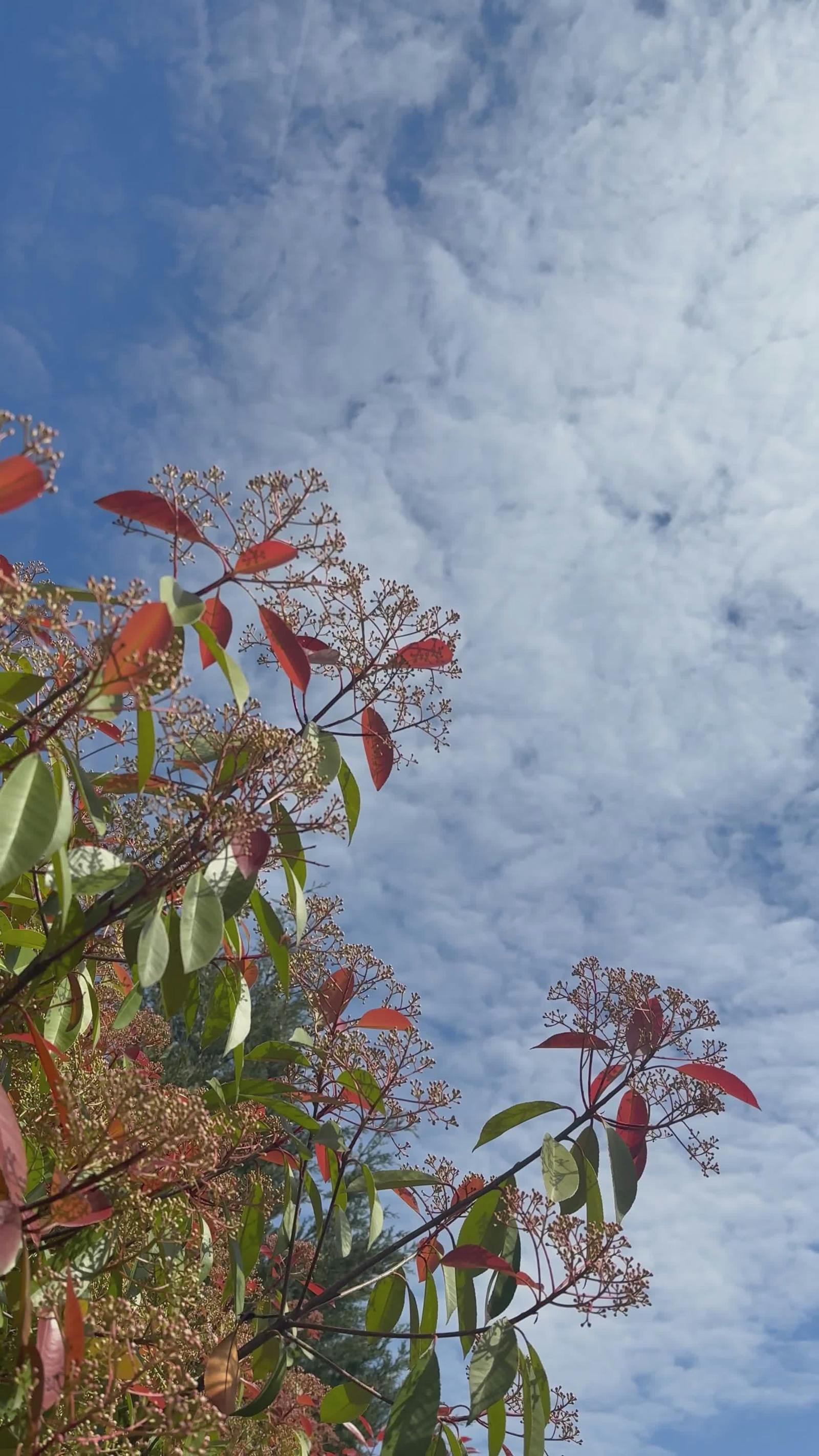 Video+Bokep+Smp+Hijab Videos, Download The BEST Free 4k Stock Video Footage & Video+Bokep+Smp ...